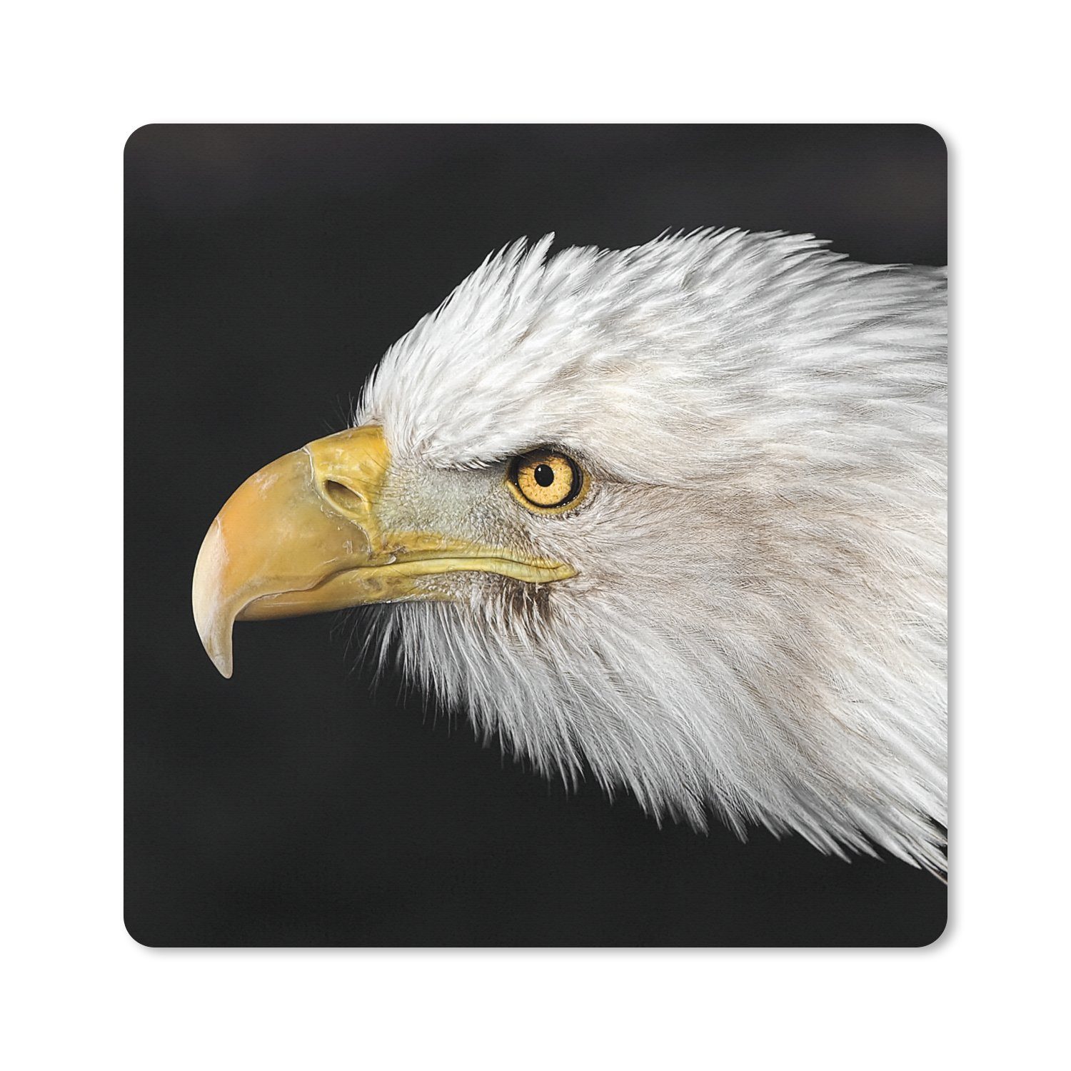 Muchowow Gaming Mauspad Adler Vogel Schnabel Augen 1 St