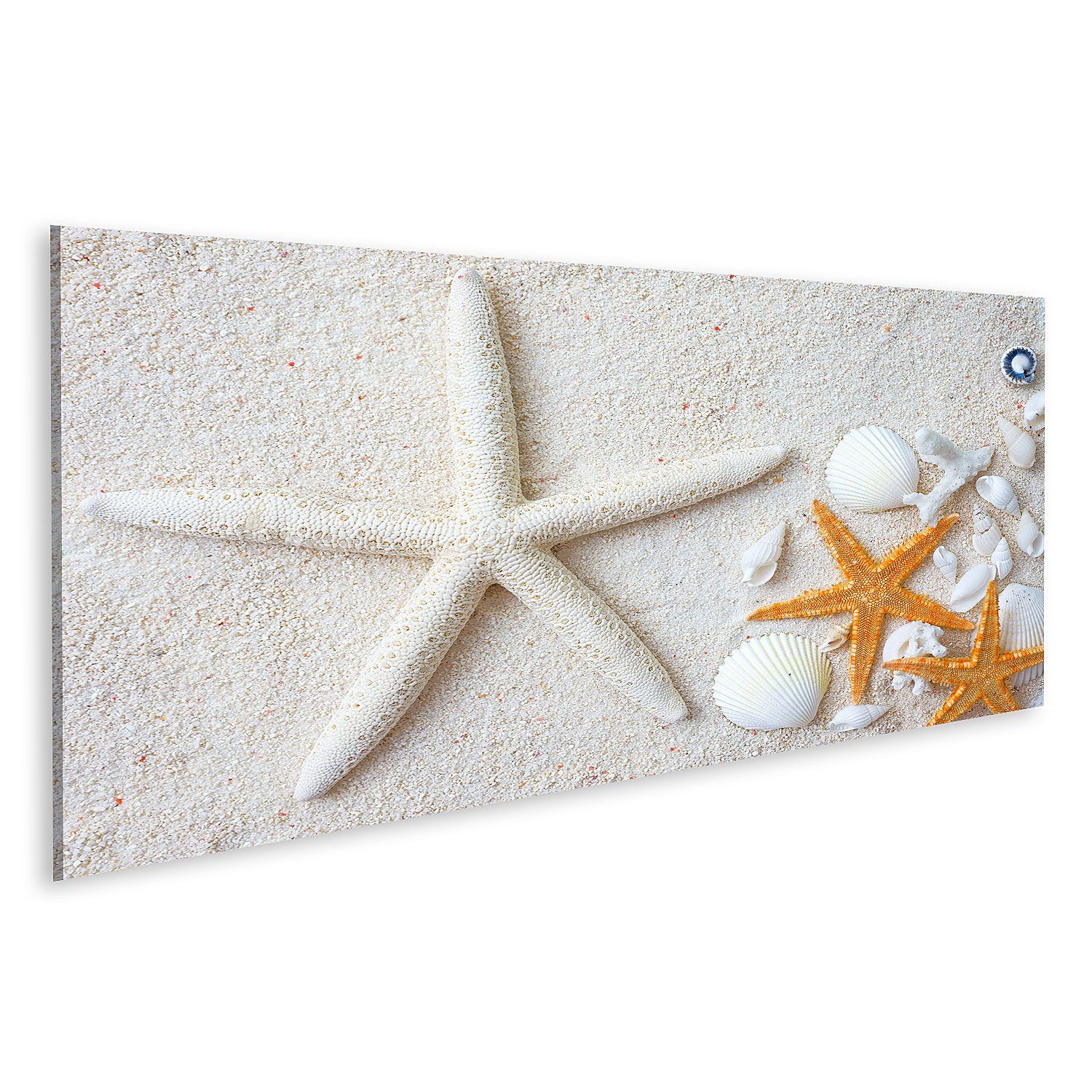 islandburner Leinwandbild »Bild auf Leinwand Muscheln Seesterne Wandbild Leinwandbild Wand ...