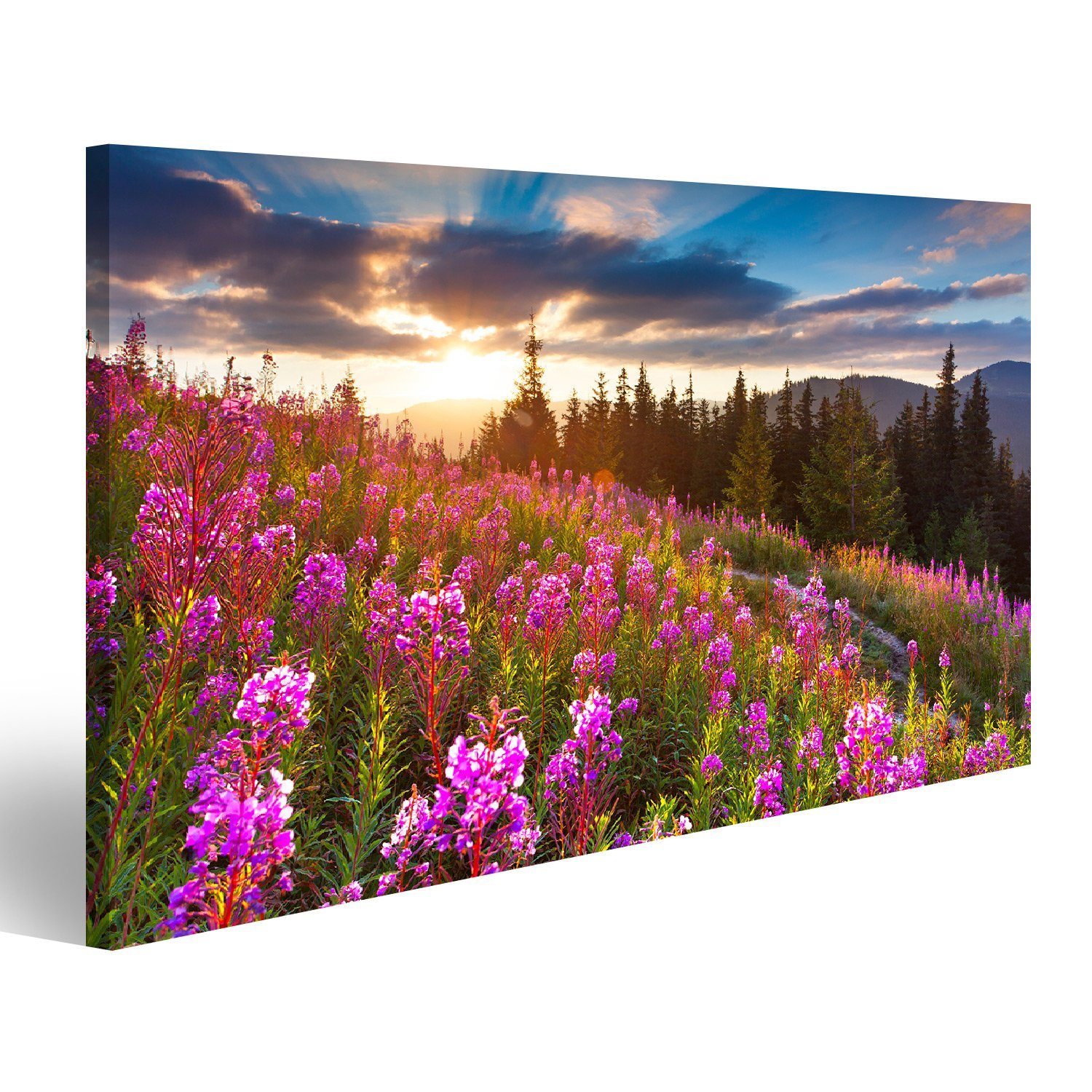 islandburner Leinwandbild Bild auf Leinwand Schöne Herbstlandschaft Bergen Mit Rosa Blumen Wand