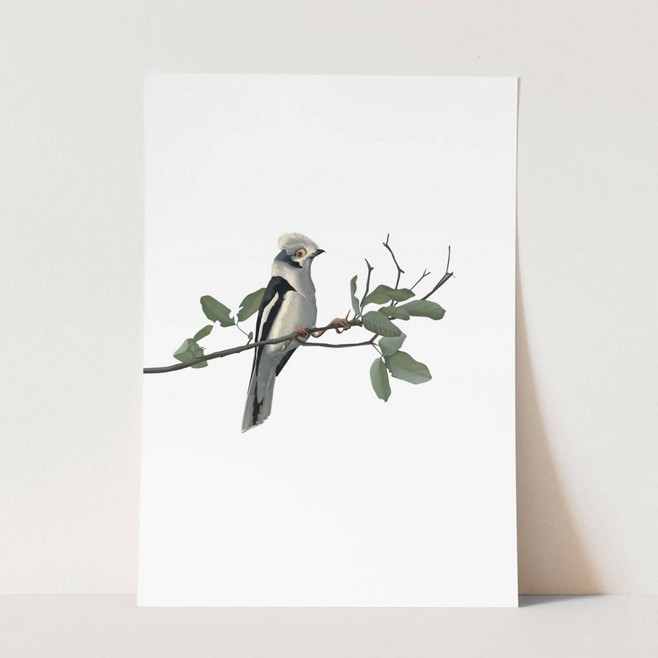 Sinus Art Wandbild Vogel Motiv Singvogel Ast Eukalyptus Blumen Kunstvoll