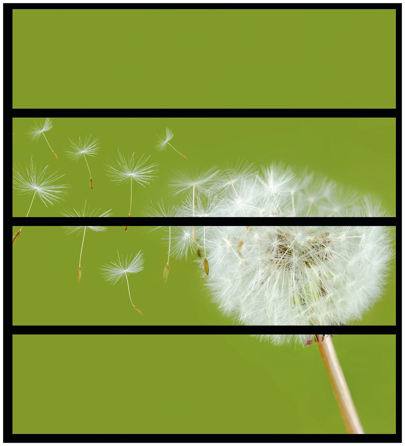 Wallario Möbelfolie Pusteblume Auf Der Wiese Mit Fliegenden Samen 4