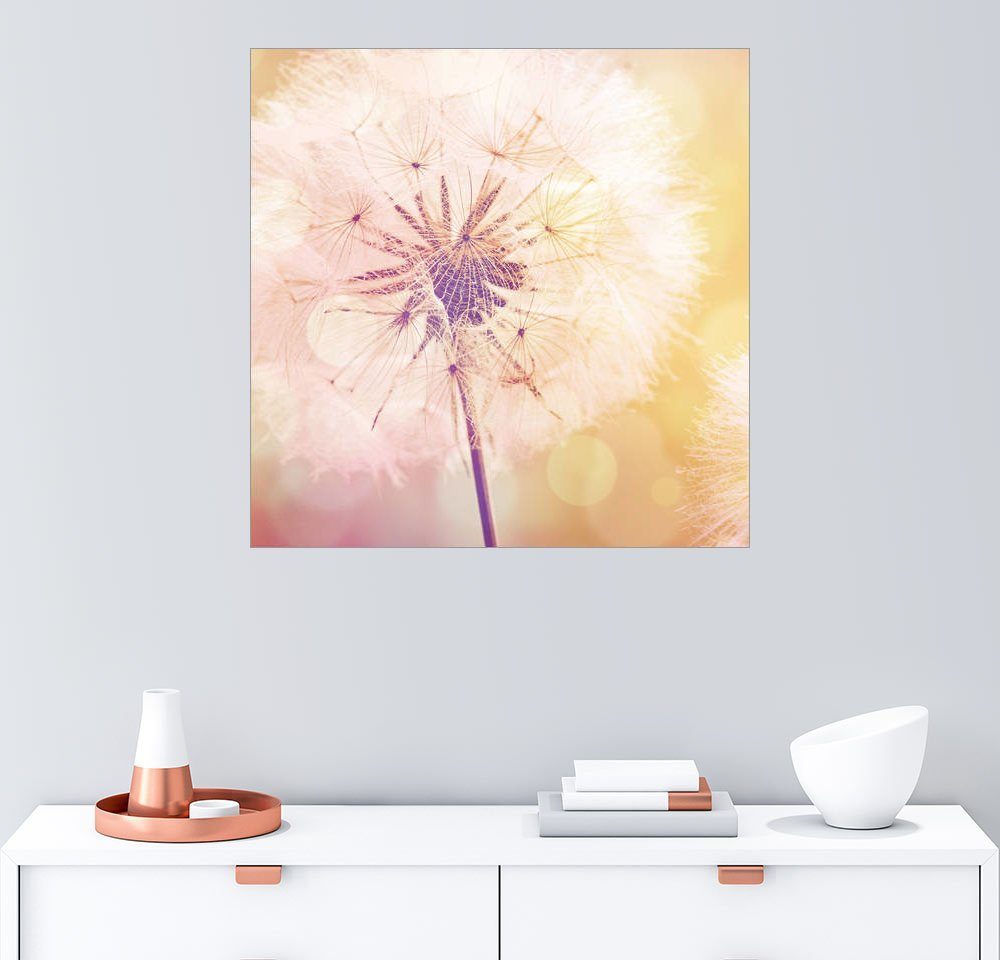 Posterlounge Wandbild, Pusteblume, Premium-Druck auf Fotopapier online kaufen | OTTO