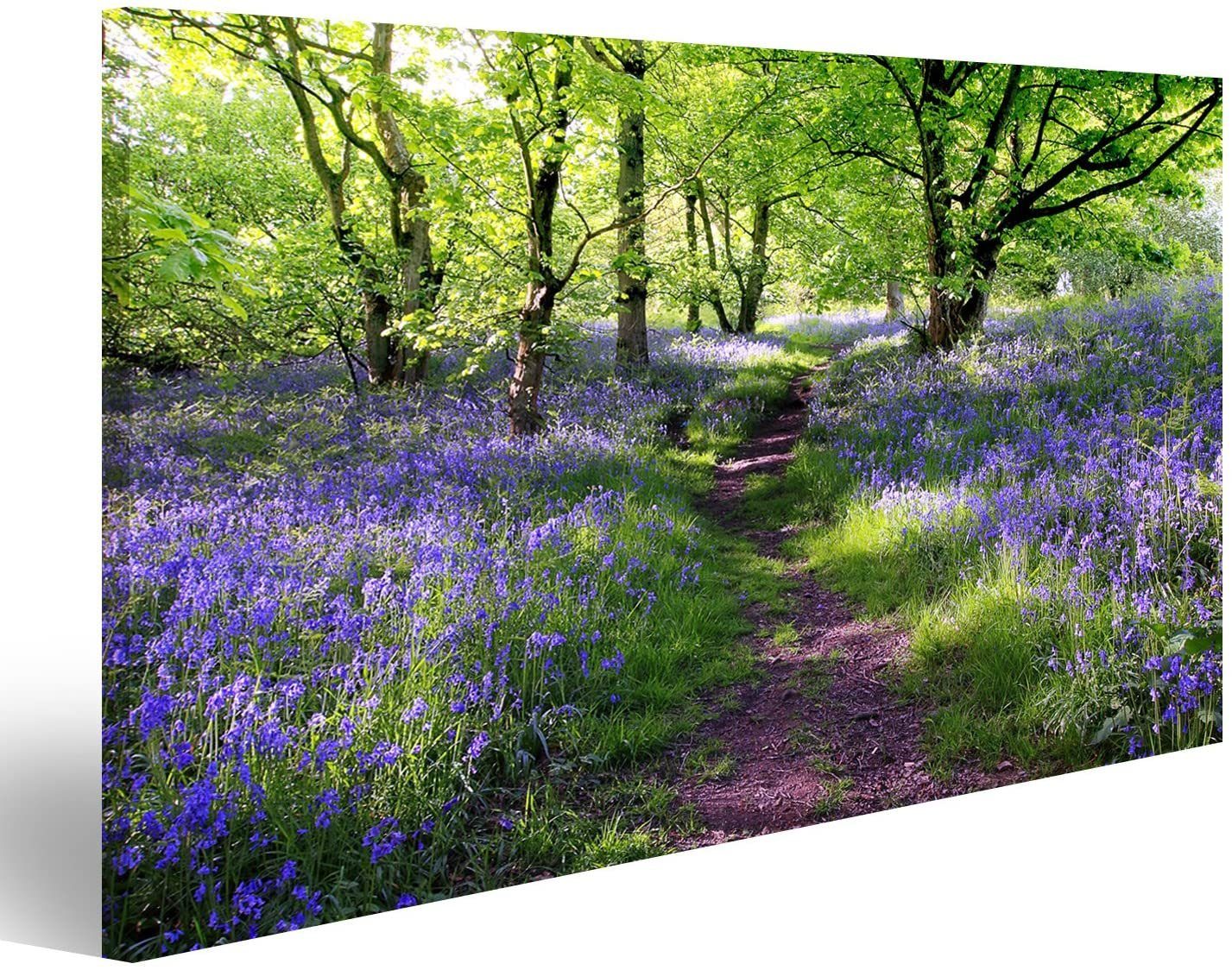 islandburner Leinwandbild »Bild Bilder auf Leinwand Blumen im Wald Lavendel Poster, Leinwandbild ...