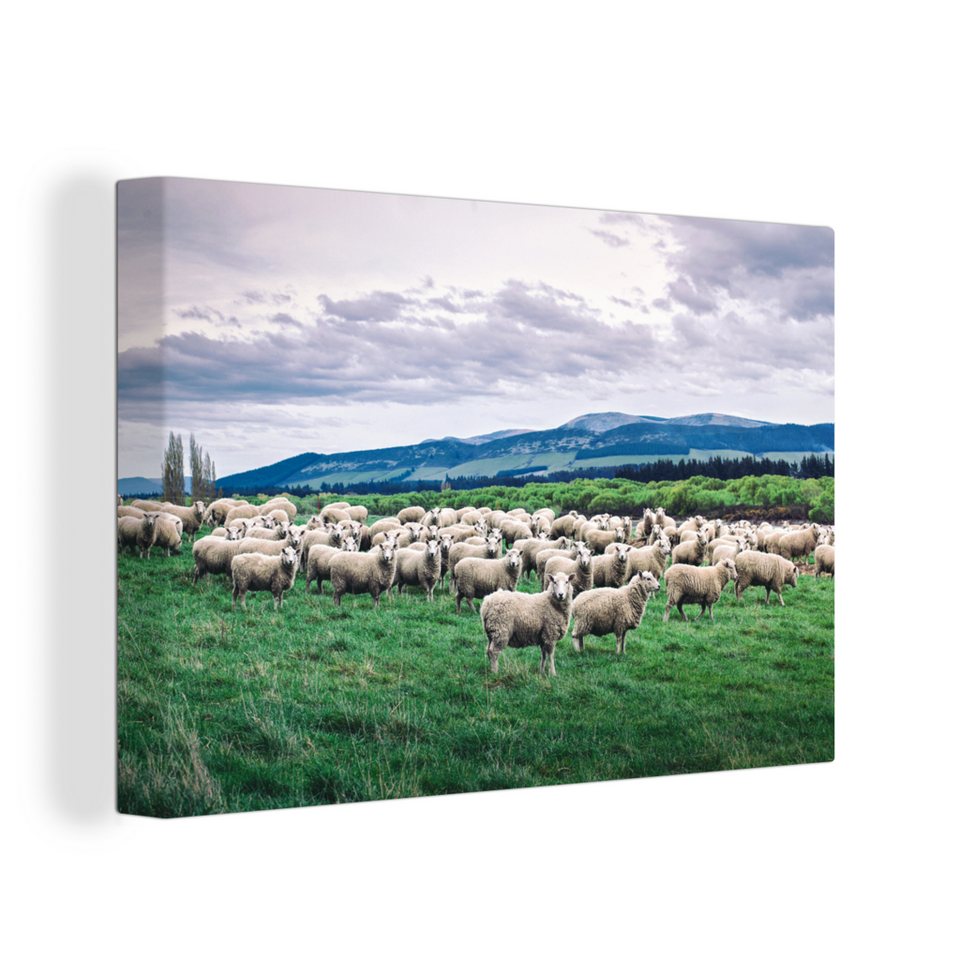 Onemillioncanvasses® Leinwandbild Schafe Himmel Landschaft 1 St