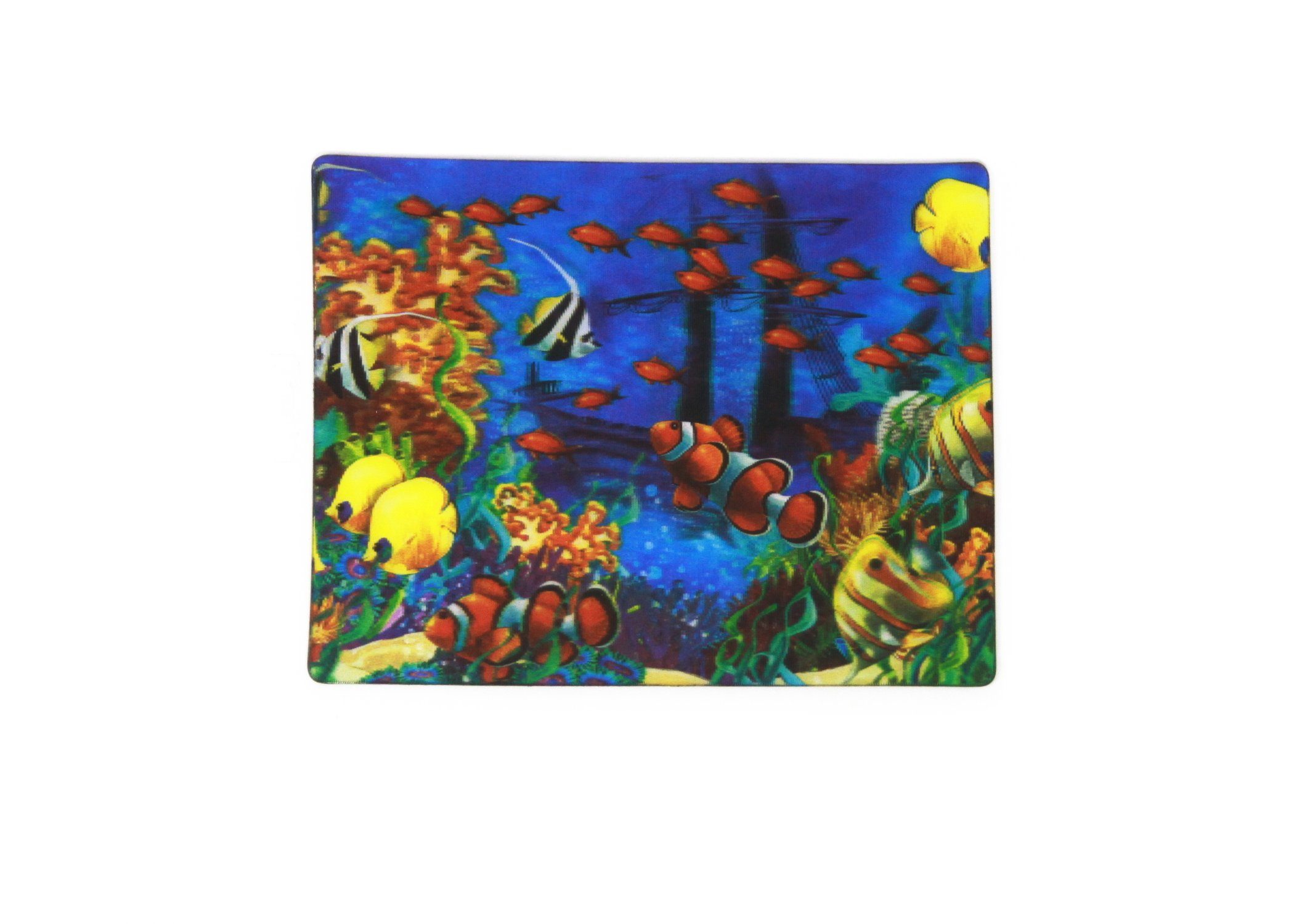 Cornelißen Magnet 3D Magnet Seaworld