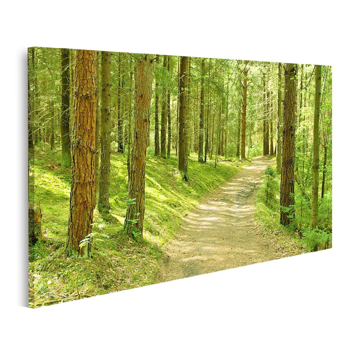 islandburner Leinwandbild Bild auf Leinwand Frühlingswald Finnland Wandbild Poster Kunstdruck Bi