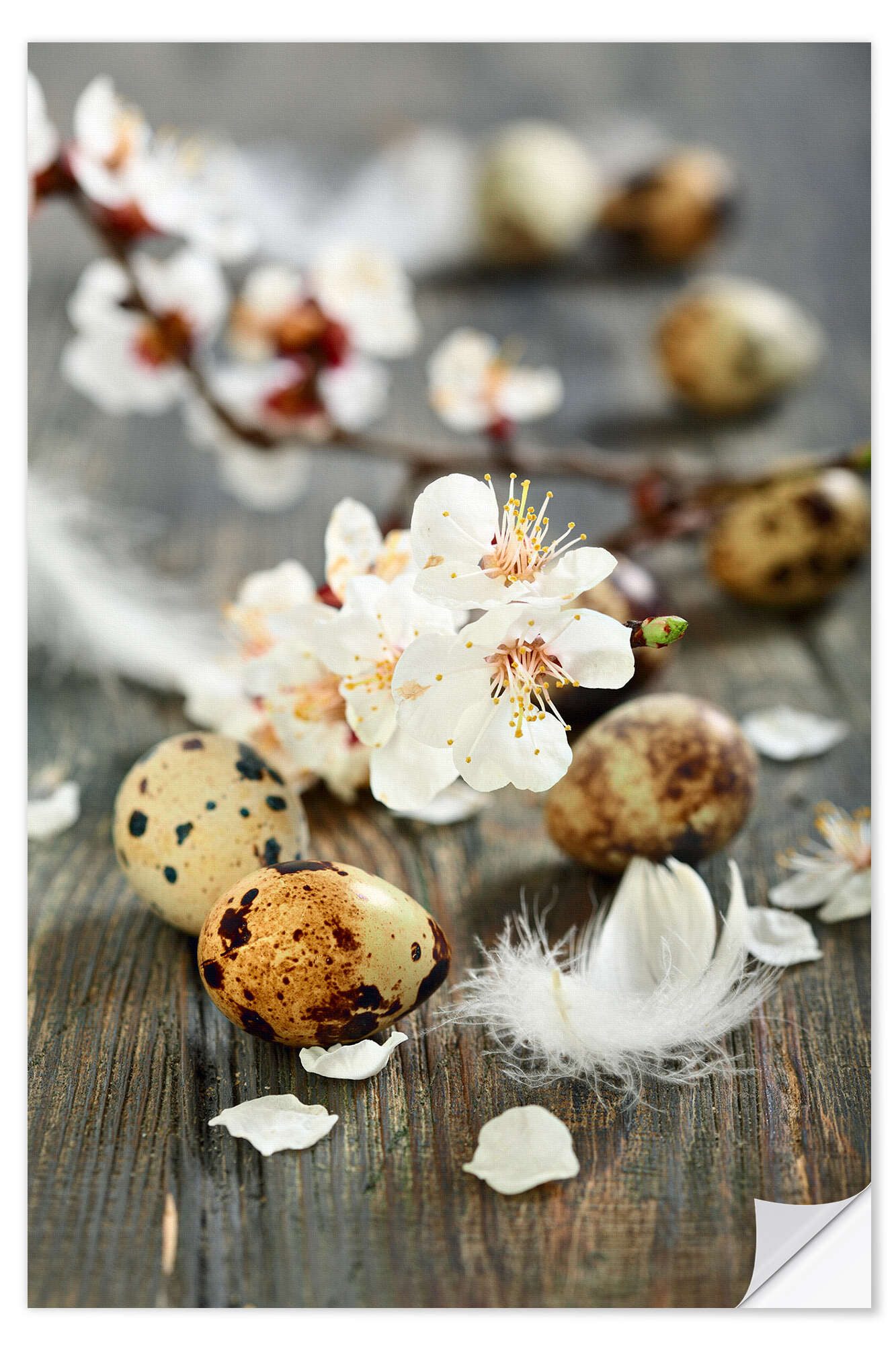 Posterlounge Wandfolie Editors Choice, Frühlingscollage, Küche Rustikal Fotografie