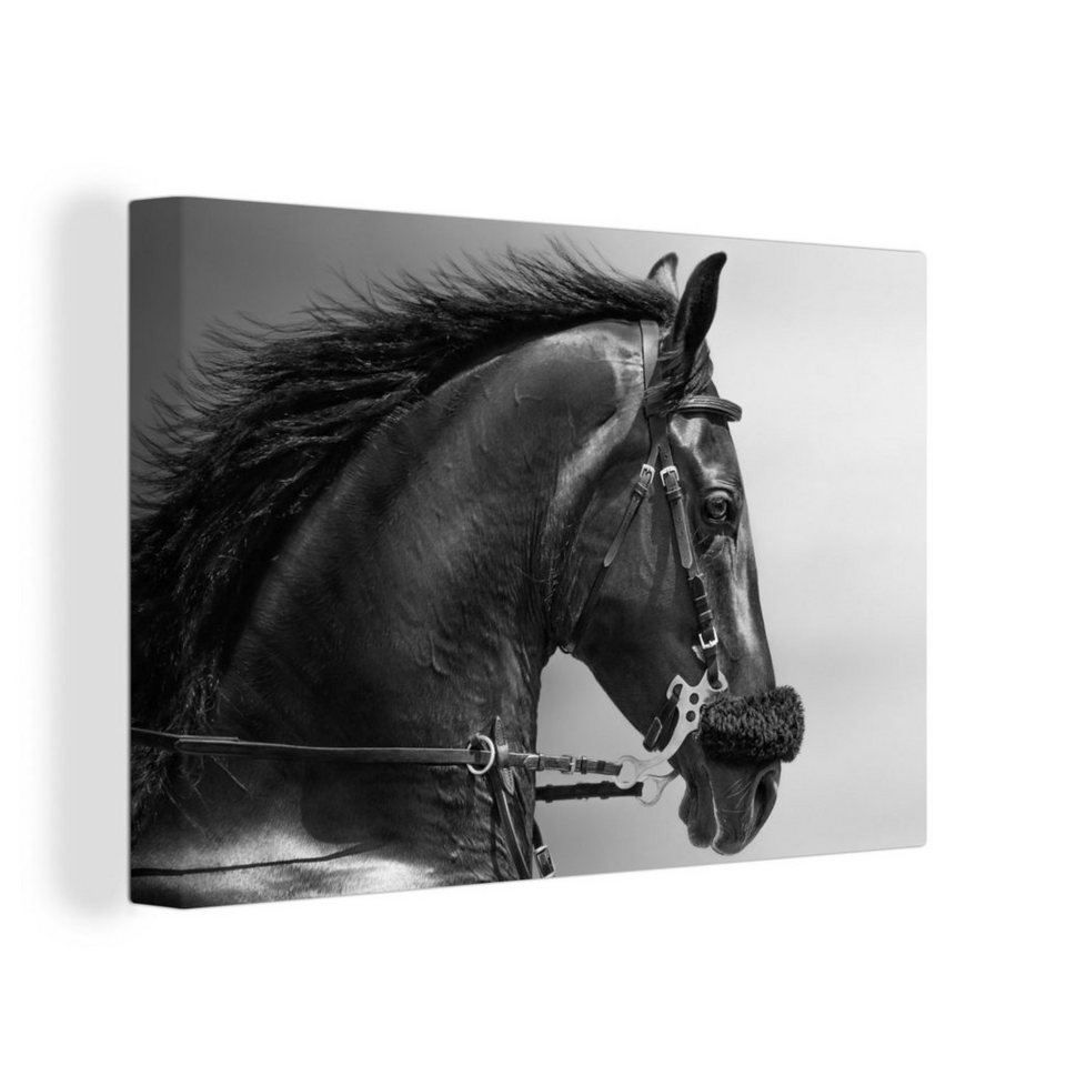 Onemillioncanvasses® Leinwandbild Pferde Schwarz Porträt Tiere
