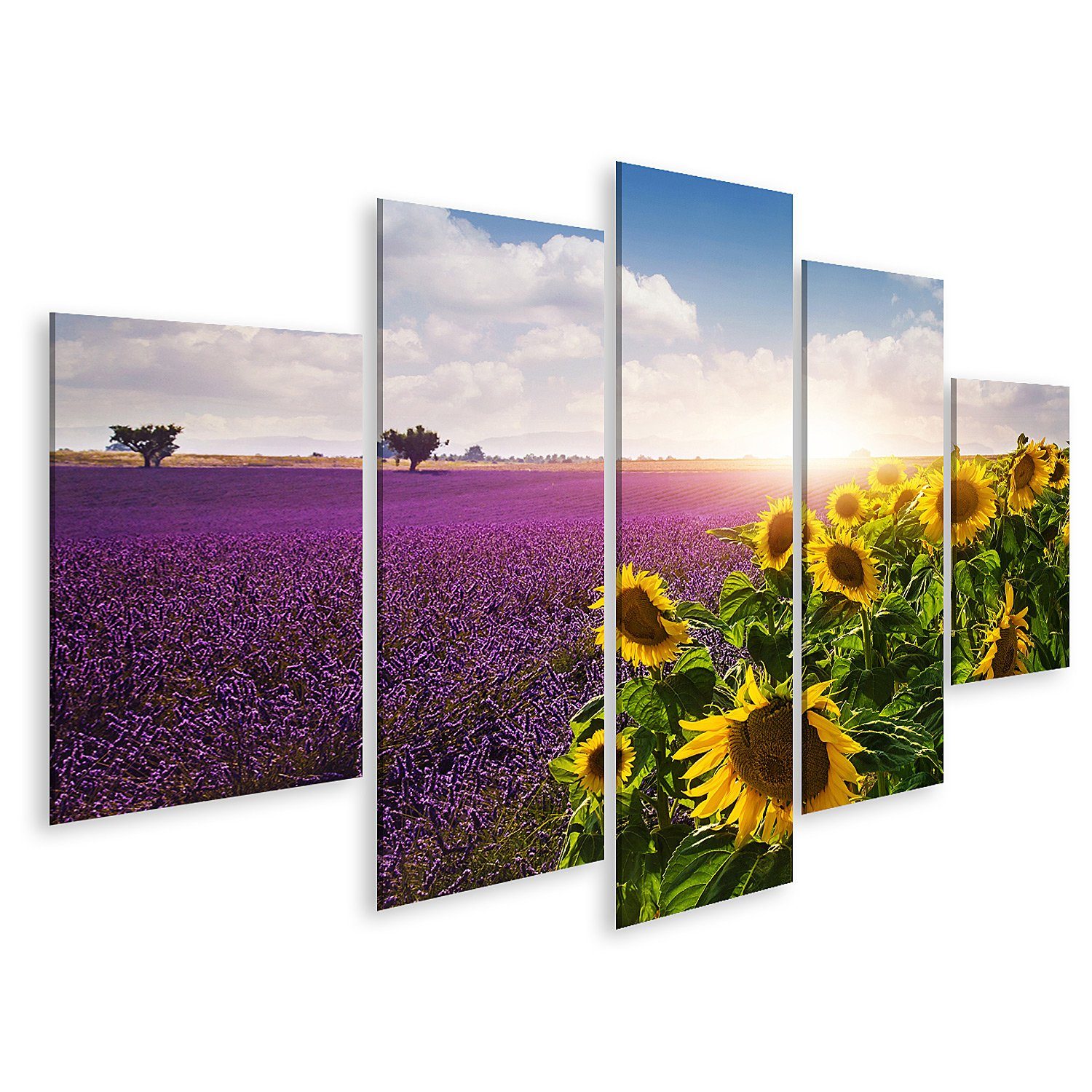 islandburner Leinwandbild »Bild auf Leinwand Lavendel und Sonnenblumenfelder in der Provence ...