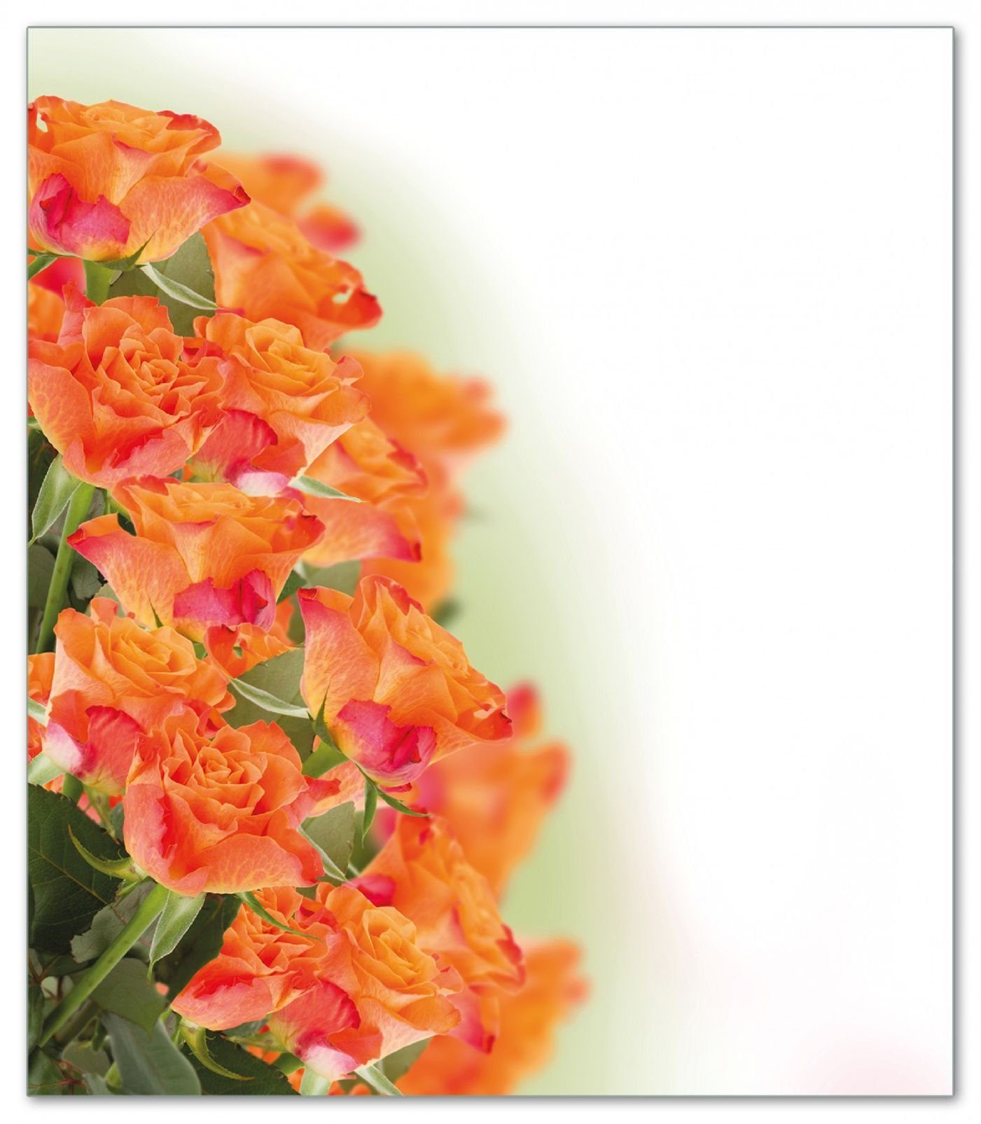 Wallario Herd Abdeckplatte Orangene Rosenblüten Im Strauß Esg