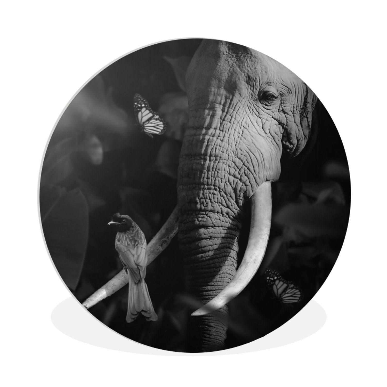 Muchowow Gemälde Vogel Elefant Dschungel Schwarz Weiß 1 St