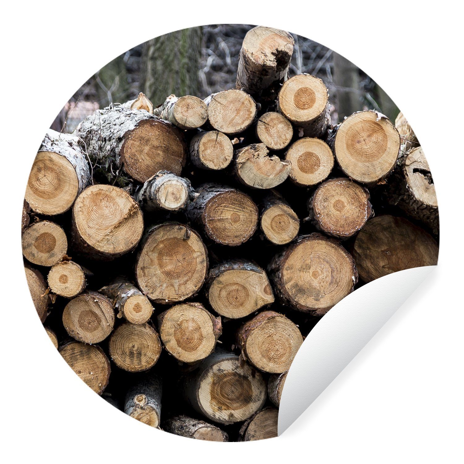 Muchowow Wandsticker Dutzende Von Baumstämmen In Der Natur Aufgestapelt