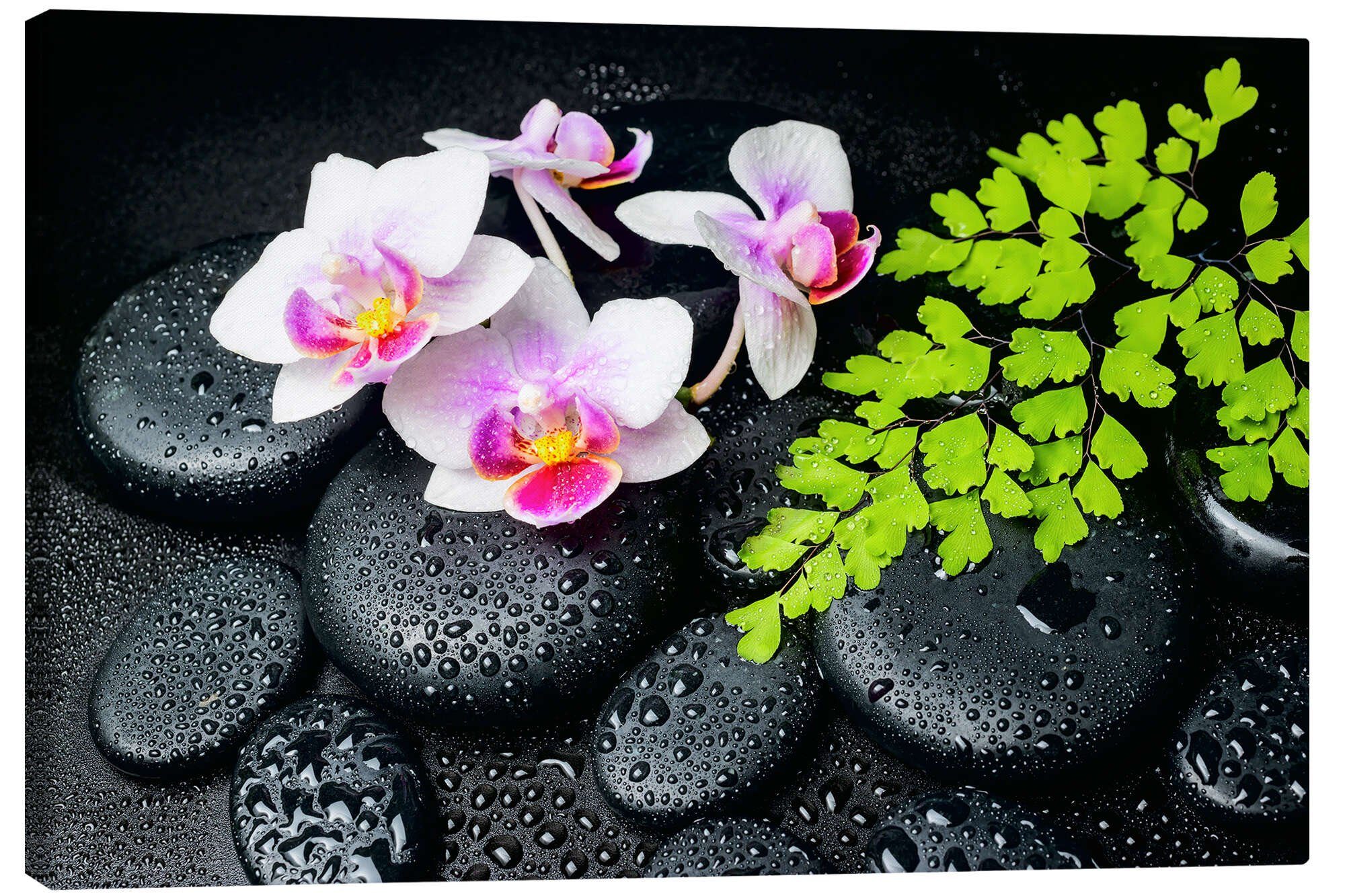 Posterlounge Leinwandbild Editors Choice Zen Stillleben Badezimmer