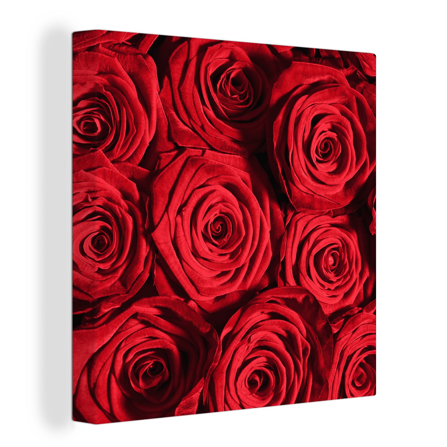 Onemillioncanvasses® Leinwandbild Rosen Rose Rot 1 St Leinwand
