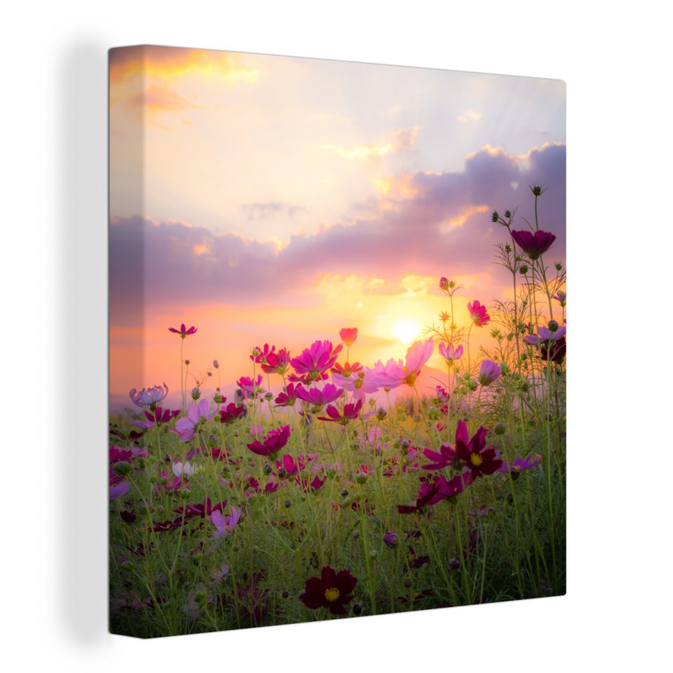 Onemillioncanvasses® Leinwandbild Blumen Rosa Sonnenuntergang