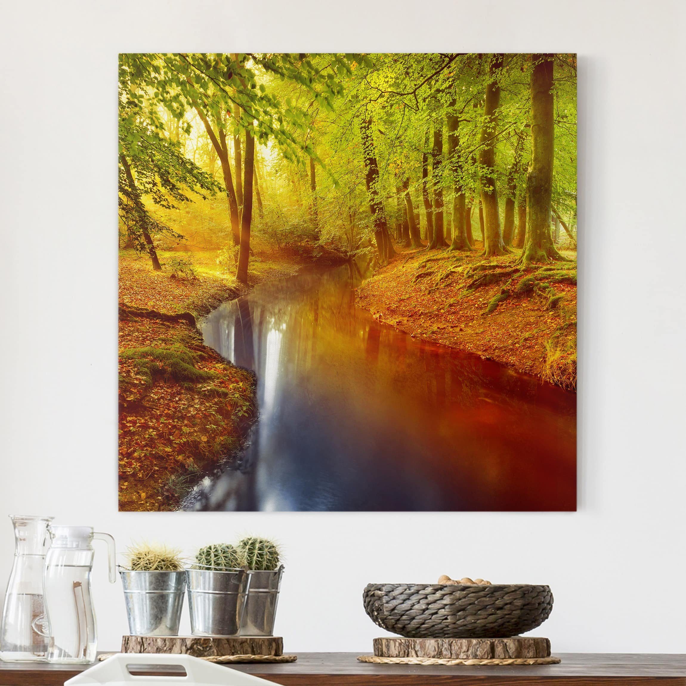 Bilderdepot24 Leinwandbild Wald Natur Landschaft Modern Herbstwald orange Bild auf Leinwand XXL ...