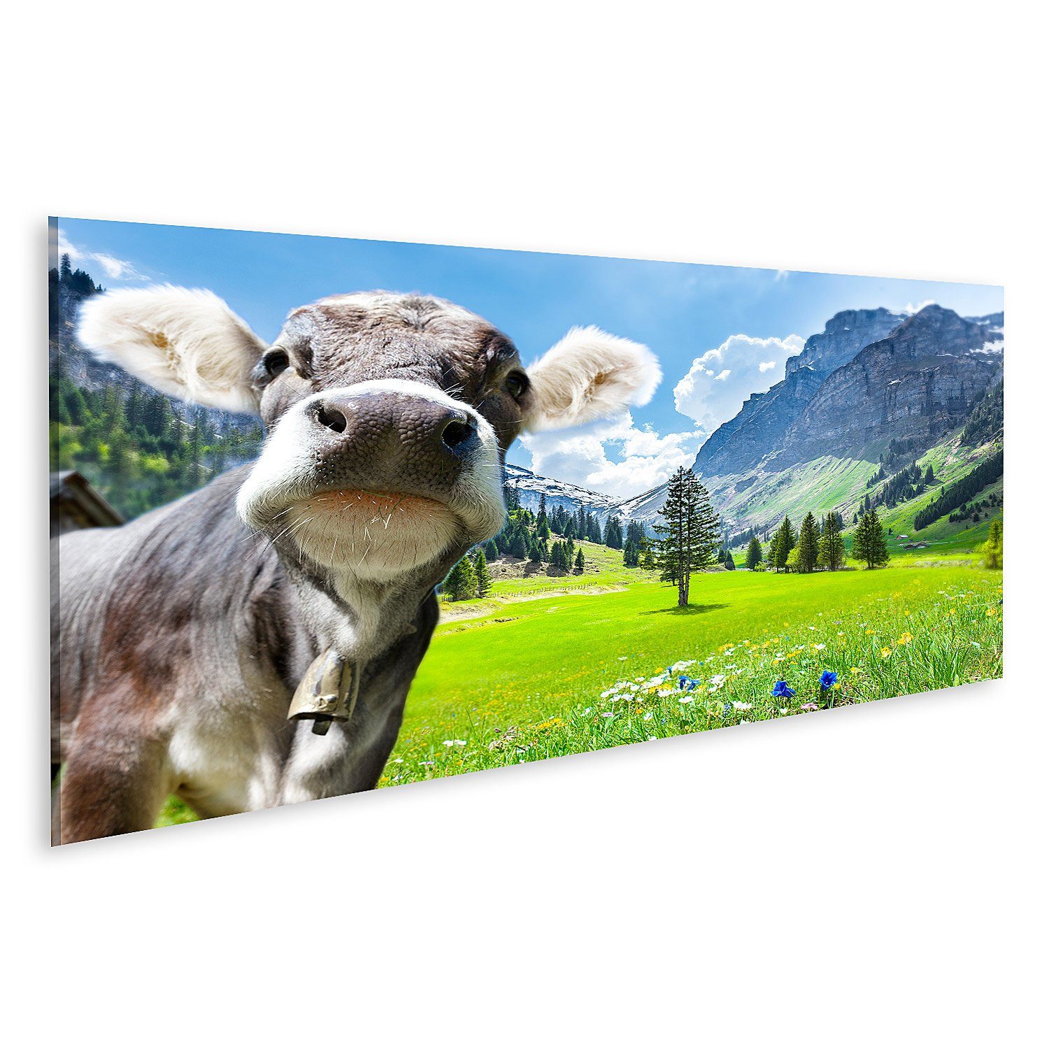 islandburner Leinwandbild Bild auf Leinwand Kuh in den Schweizer Alpen Wandbild Poster Kunstdruc