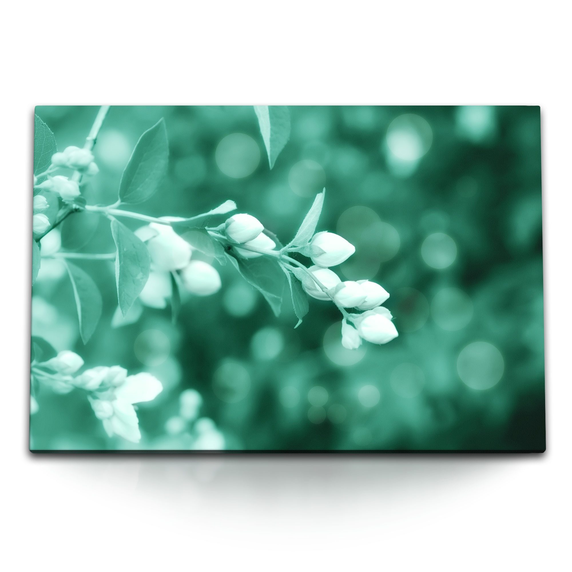 Sinus Art Leinwandbild 120x80cm Wandbild Auf Leinwand Jasmine Blüten