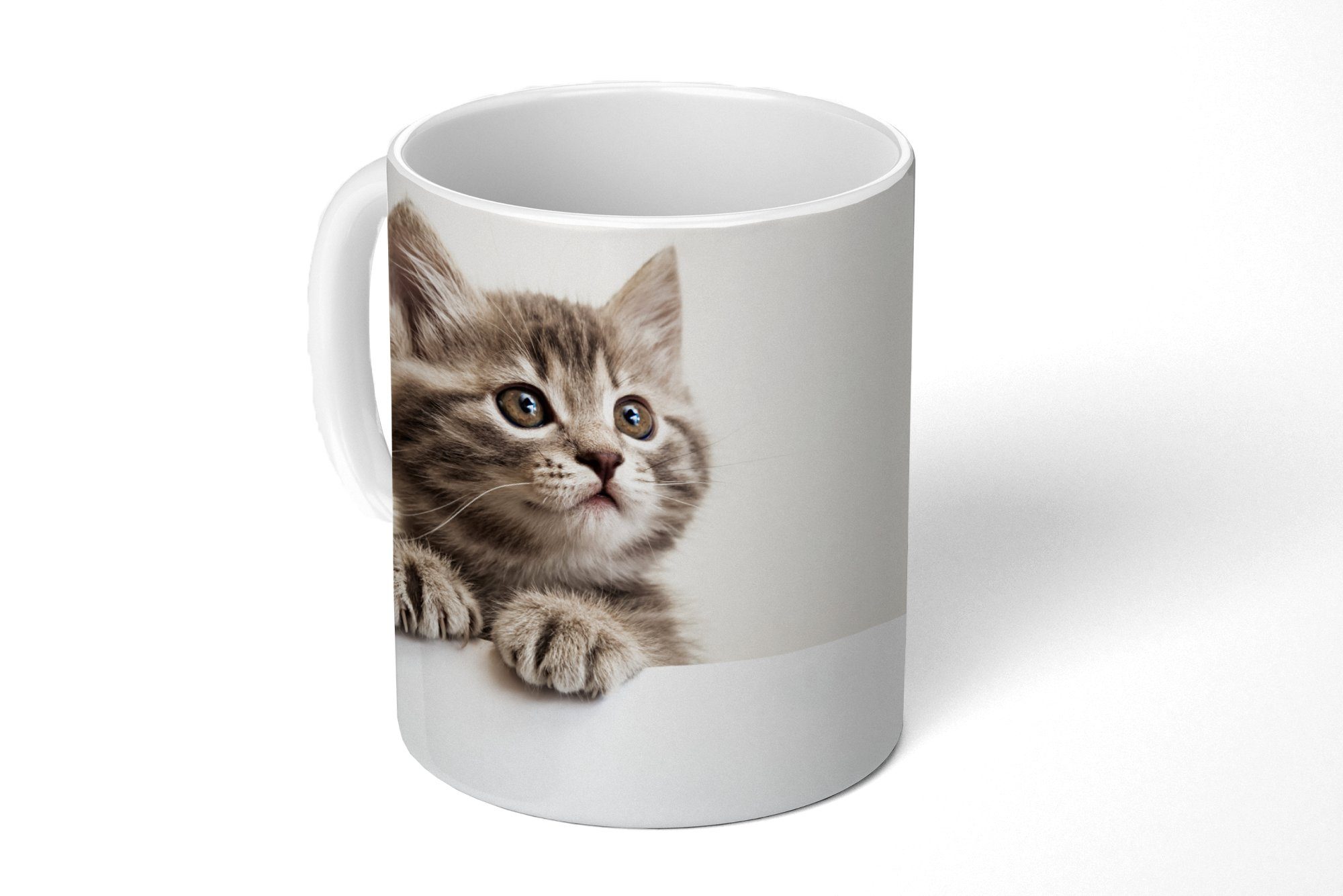 Muchowow Tasse Katze Grau Tiere Keramik