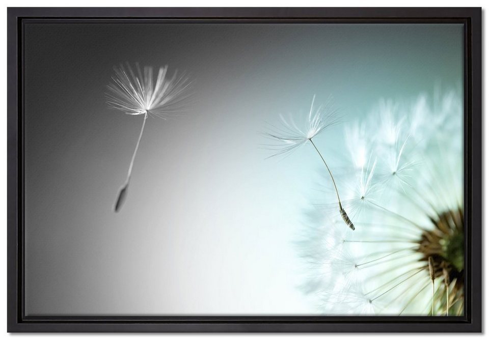 Pixxprint Leinwandbild Löwenzahn Pusteblume Wanddekoration 1 St