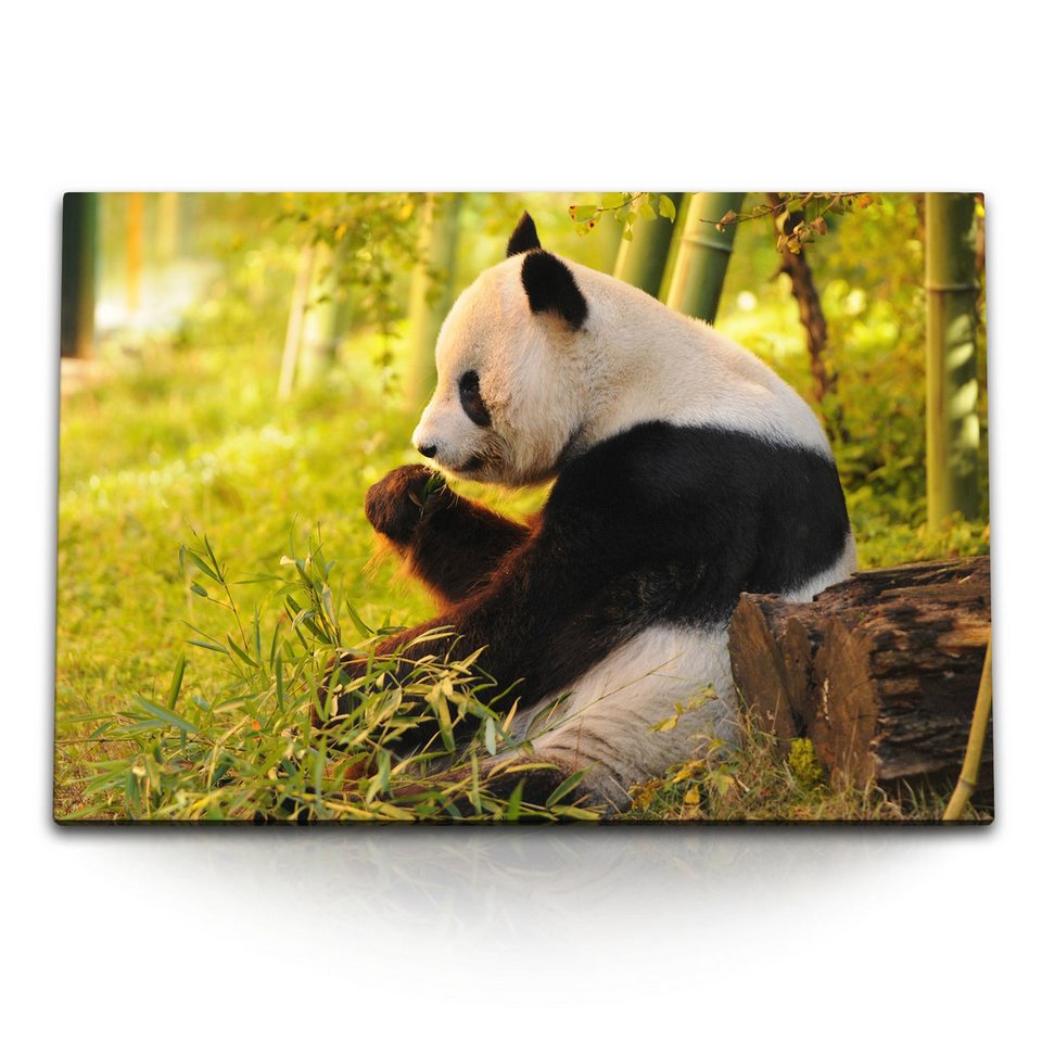 Sinus Art Leinwandbild 120x80cm Wandbild Auf Leinwand Panda Pandabär