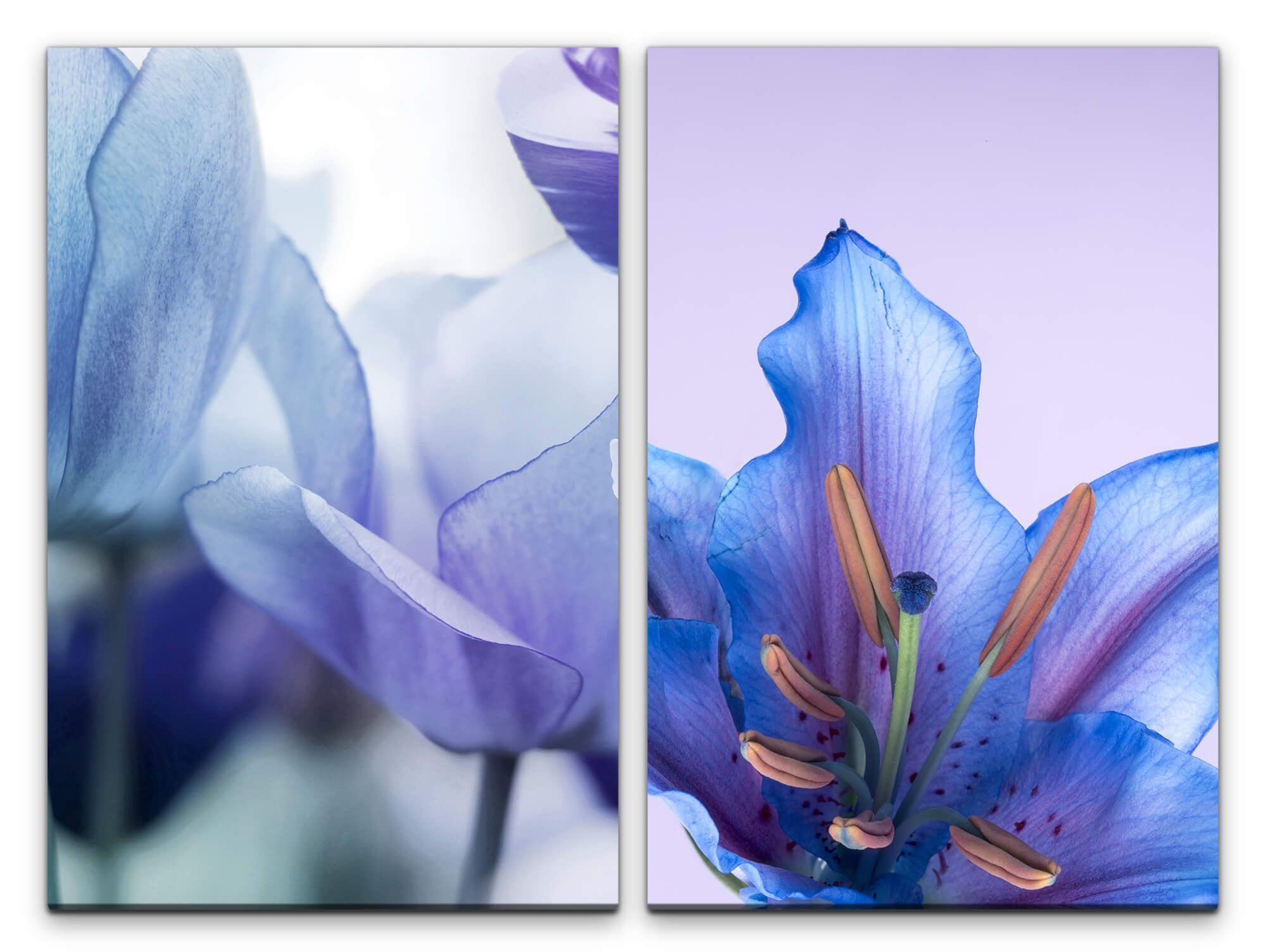 Sinus Art Leinwandbild 2 Bilder Je 60x90cm Tulpen Blumen Sommerblüten