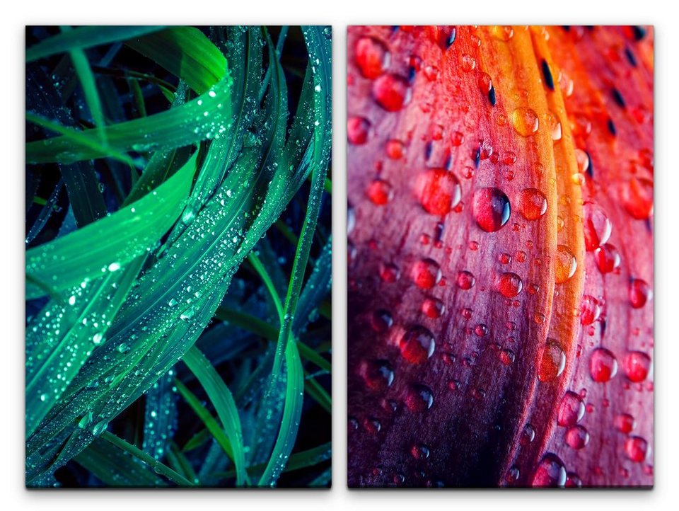 Sinus Art Leinwandbild 2 Bilder Je 60x90cm Regentropfen Tropfen