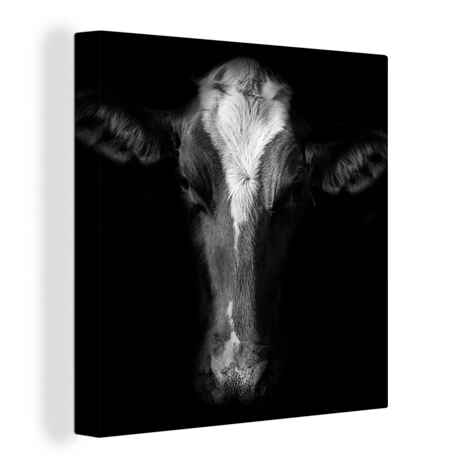 OneMillionCanvasses® Leinwandbild Kuh - Tiere - Schwarz, (1 St), Leinwand Bilder für Wohnzimmer ...