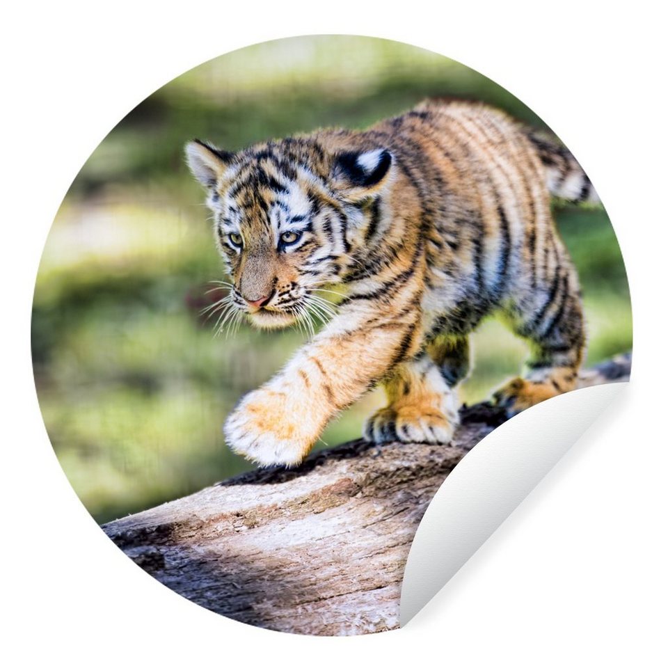 Muchowow Wandsticker Junger Tiger Läuft Auf Einem Baumstamm 1 St