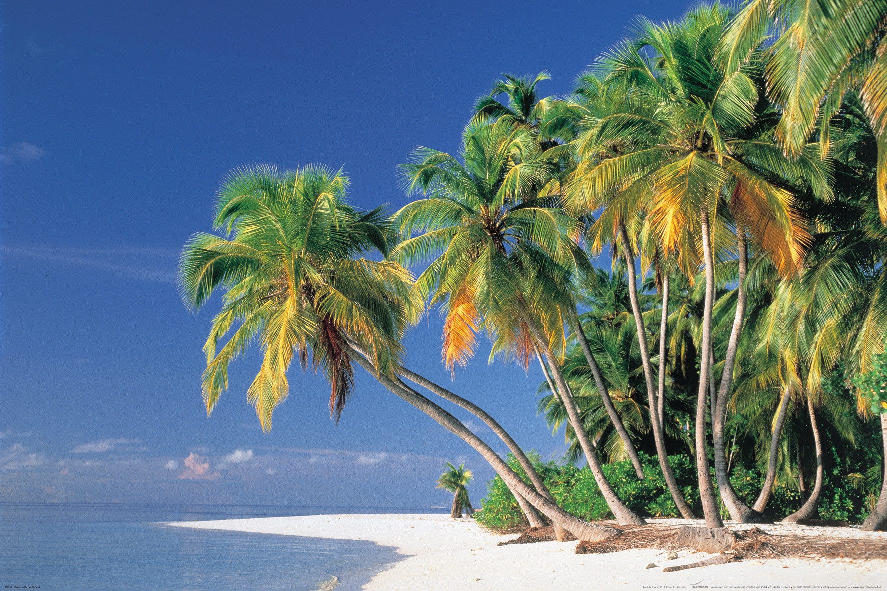 Retro Strandposter online kaufen » Beach Retro Poster | OTTO