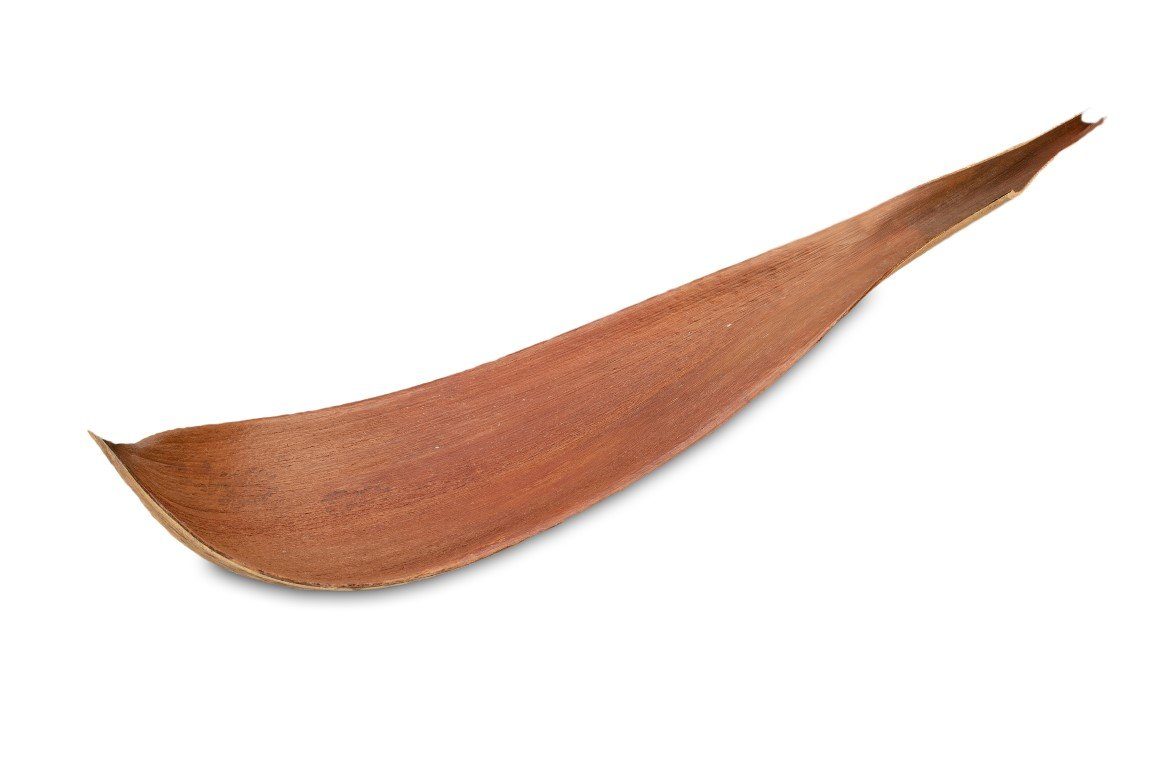 Nadeco Bastelnaturmaterial Kokosblatt Groß 60 80cm