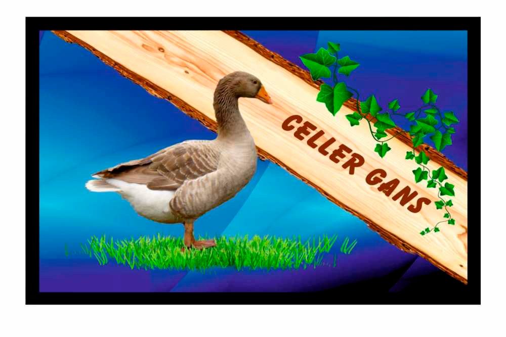 Preisvergleich für Ladreas Fußmatte Schmutzfangmatte Wassergeflügel ...