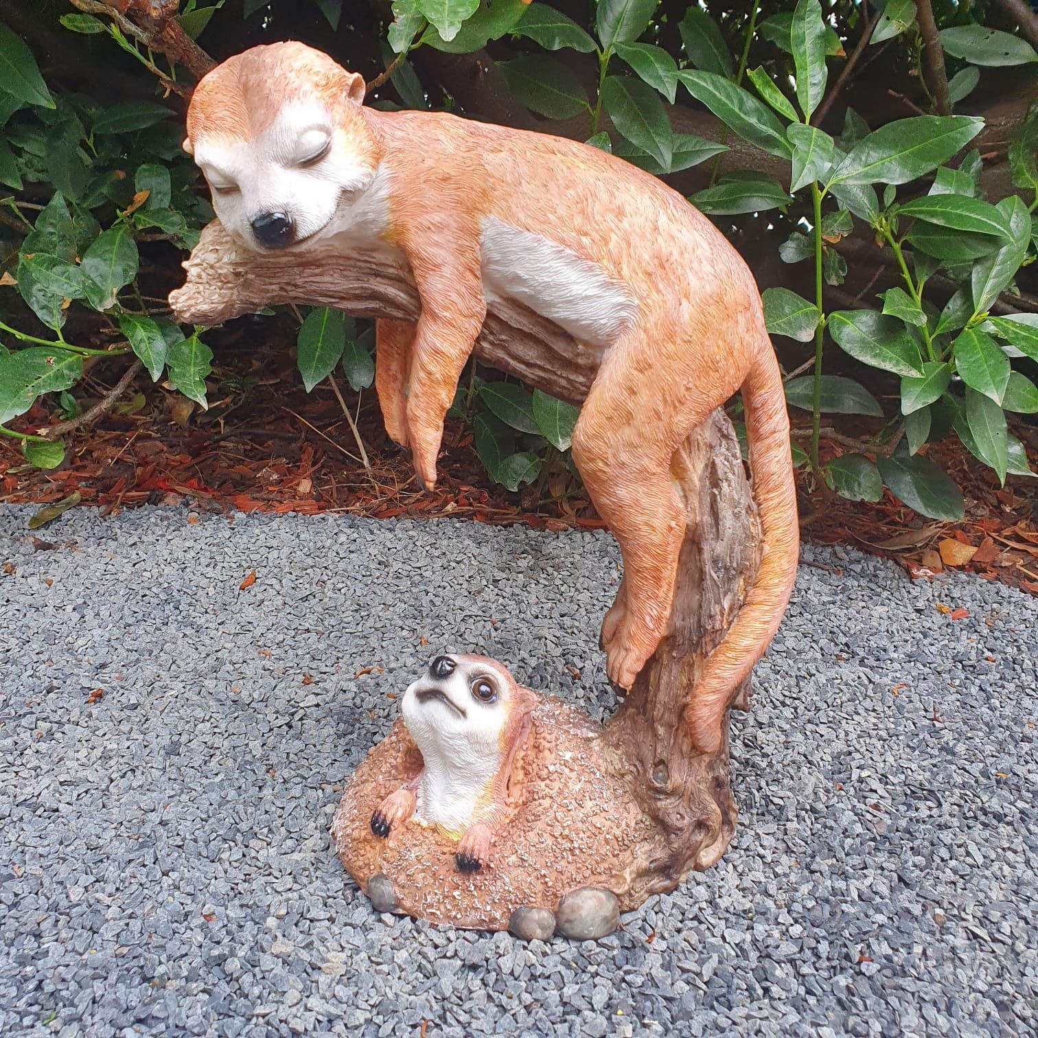 Aspinaworld Gartenfigur Schlafende Erdmännchen Figur Auf Ast 23 Cm