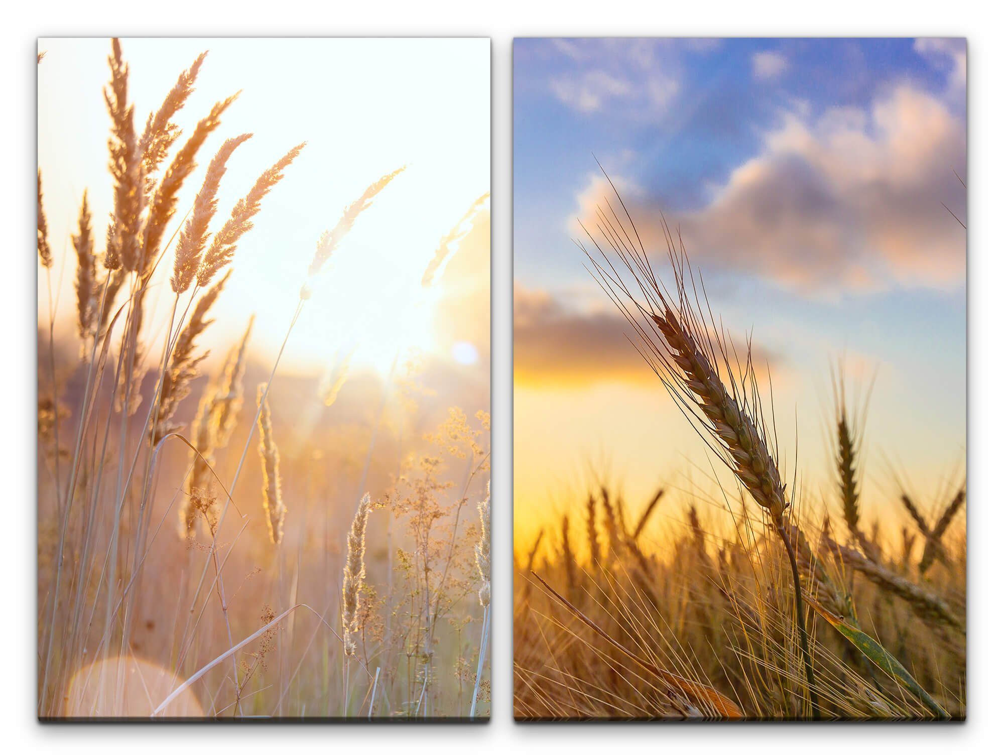 Sinus Art Leinwandbild 2 Bilder Je 60x90cm Weizen Sommer Kornfeld