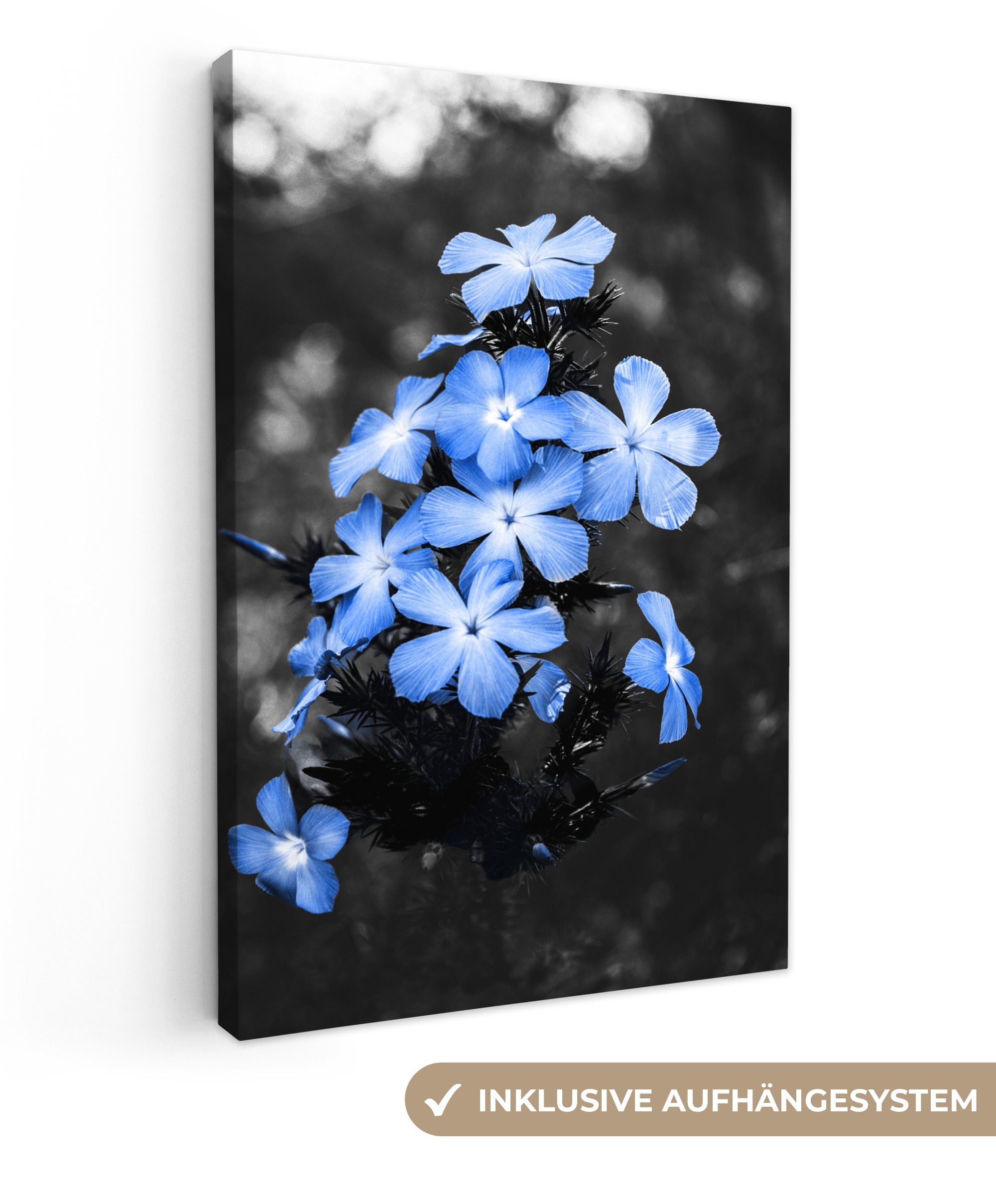 Onemillioncanvasses® Leinwandbild Blumen Schwarz Weiß Blau 1 St