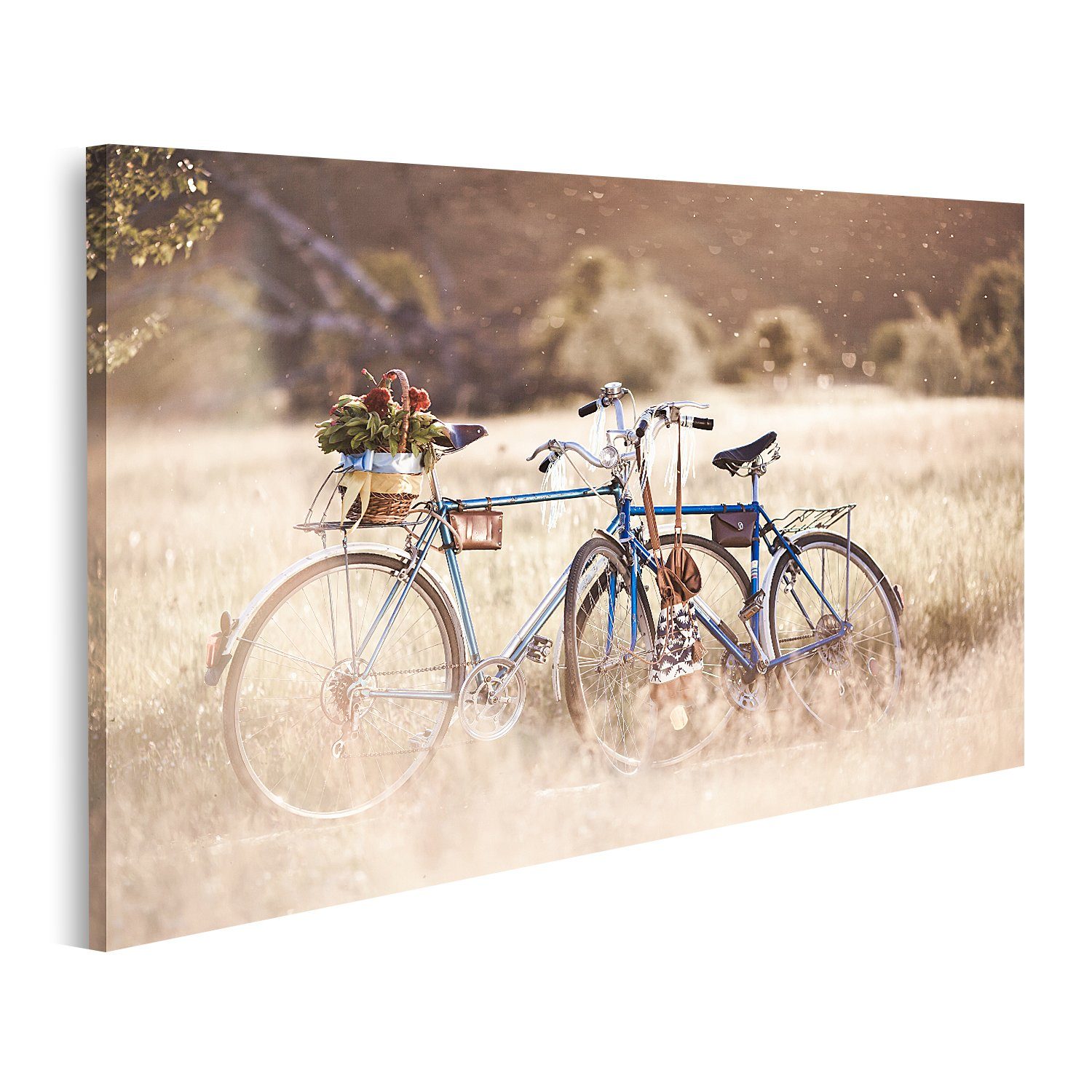 islandburner Leinwandbild Bild auf Leinwand Schöne Landschaft Bild Mit Fahrrad Und Blumen Bei So