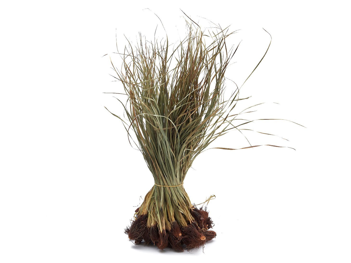 Nadeco Bastelnaturmaterial Tiririca Gerade Länge Ca 50 60cm 500g