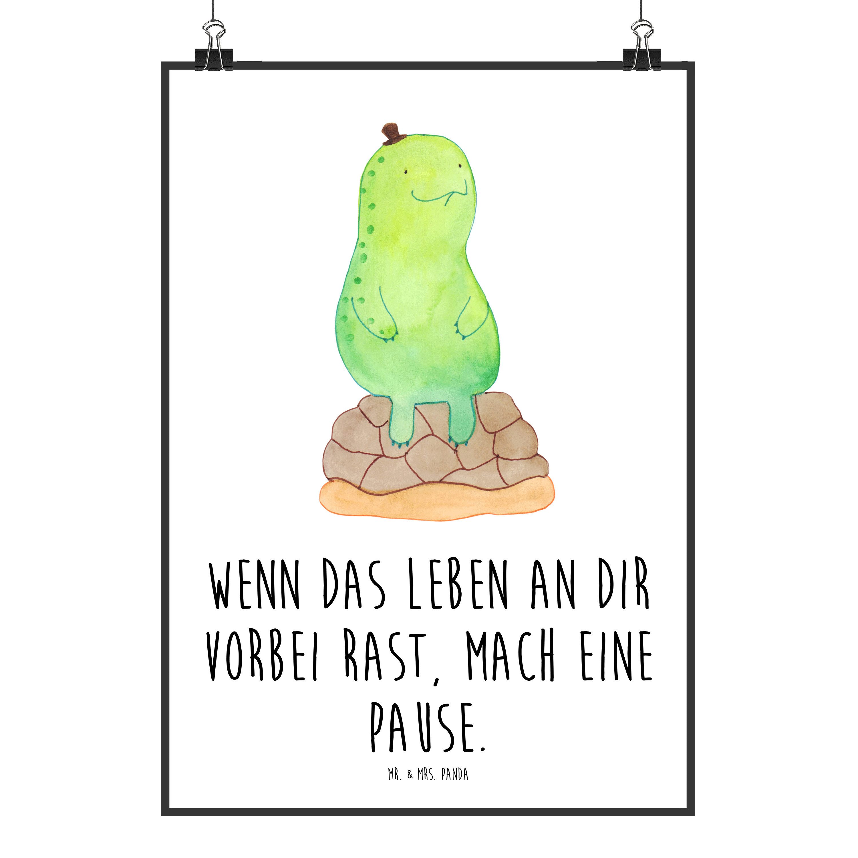 Mr. & Mrs. Panda Poster Schildkröte Pause DIN A5 - Weiß - Geschenk, Mr. & Mrs. Panda Poster ...