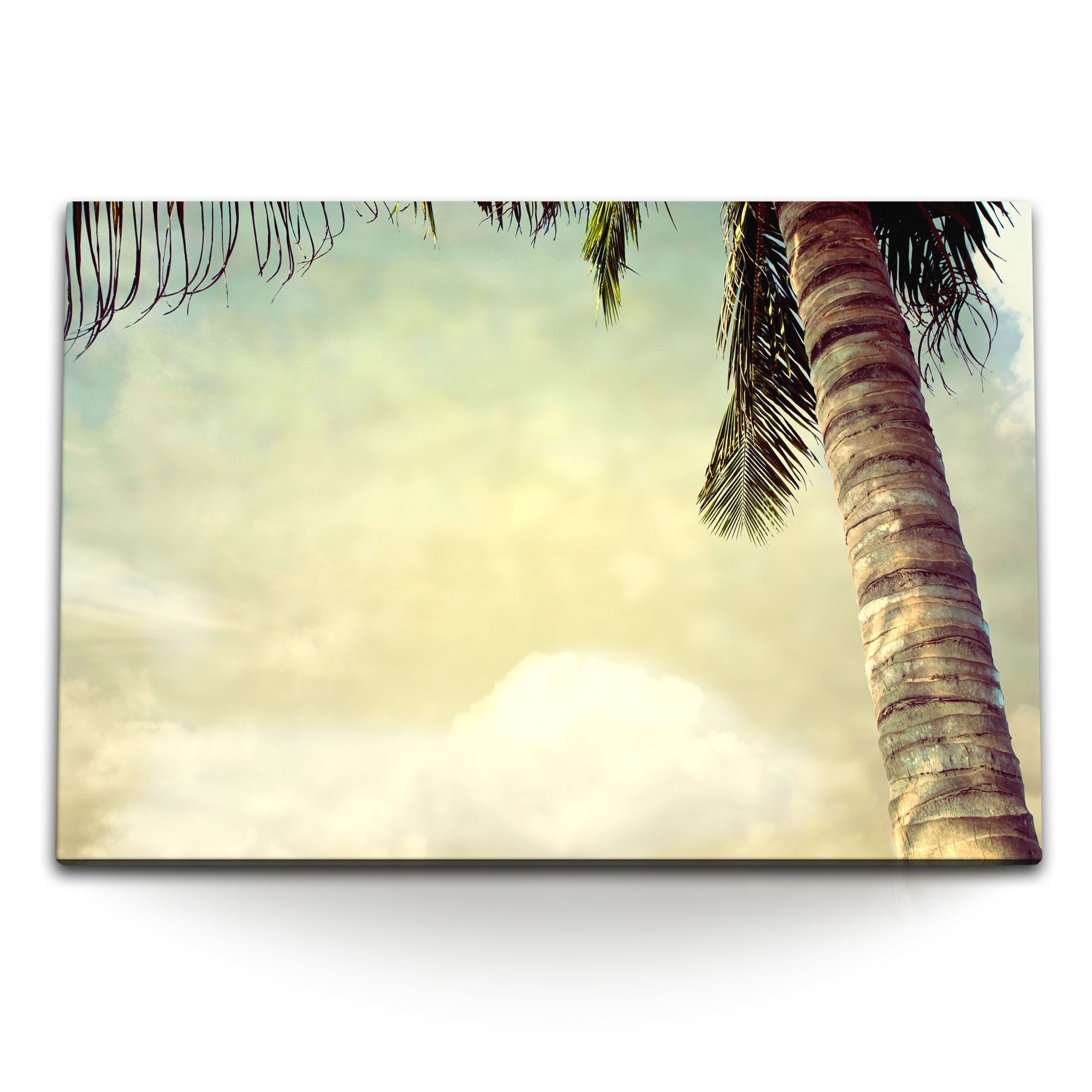 Sinus Art Leinwandbild 120x80cm Wandbild auf Leinwand Palme Himmel Sommer Urlaub Exotisch Süd ...