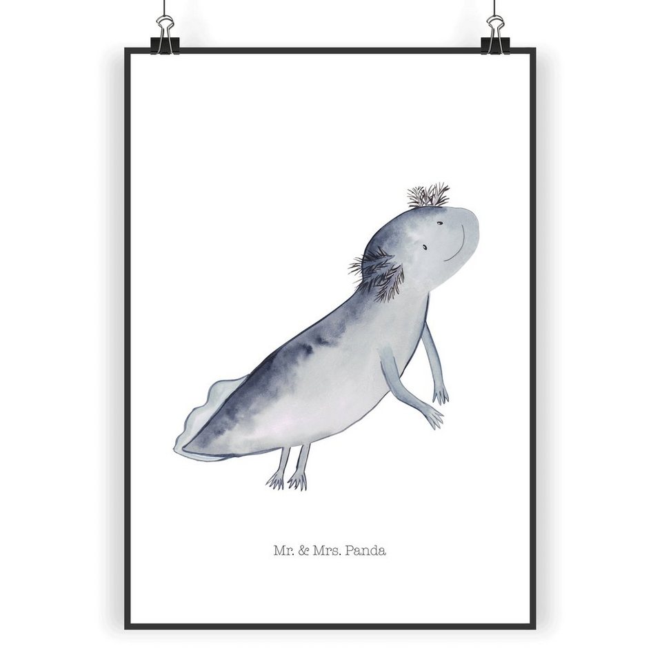 Mr. & Mrs. Panda Poster Axolotl schwimmt, Mr. & Mrs. Panda Poster ... Mr. & Mrs. Panda Poster Axolotl schwimmt, Mr. & Mrs. Panda Poster ...