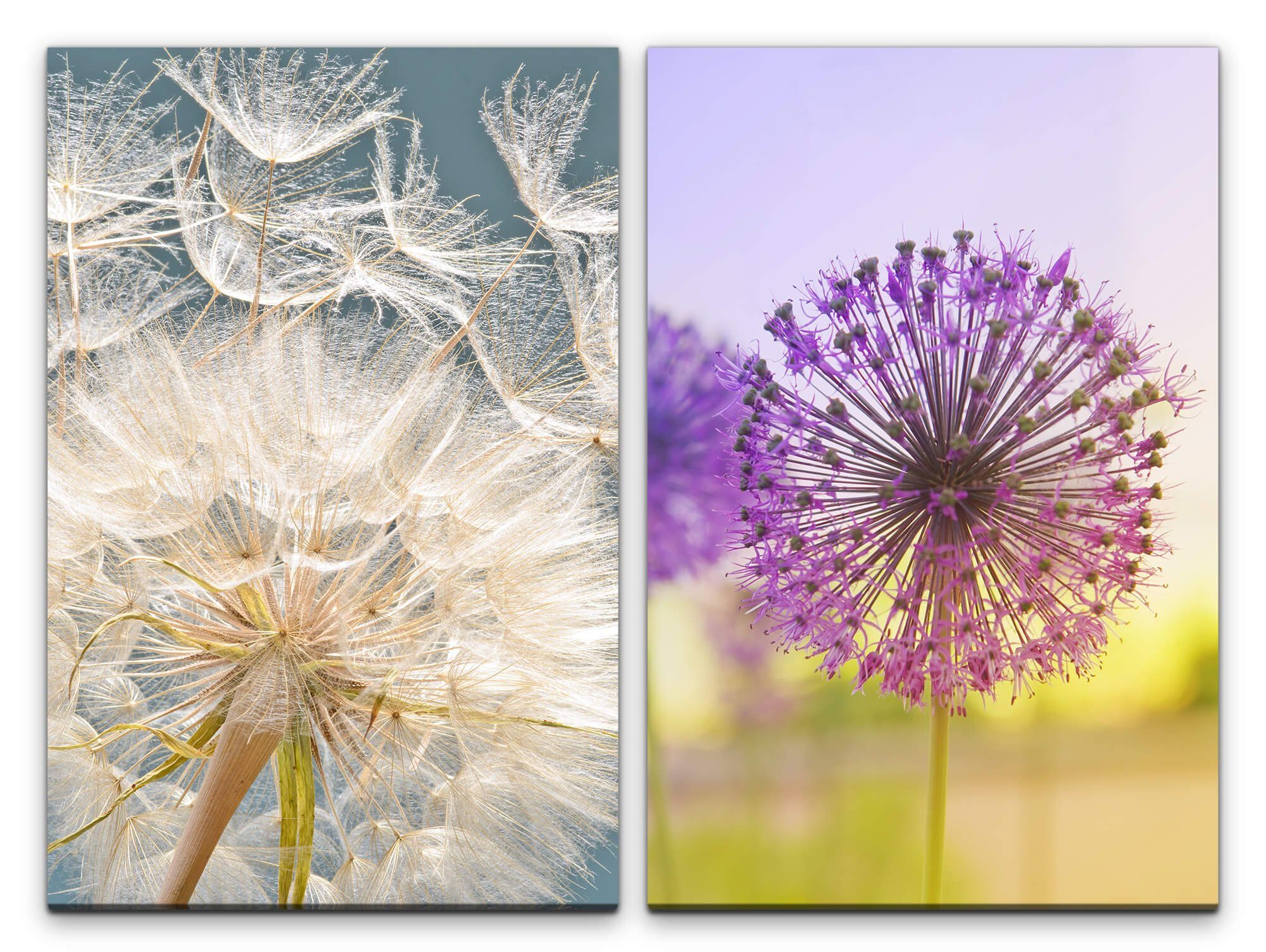 Sinus Art Leinwandbild 2 Bilder Je 60x90cm Pusteblume Blumen Sommer