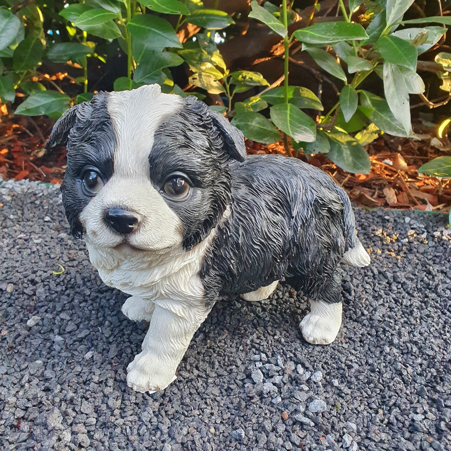Aspinaworld Gartenfigur Border Collie Figur Welpe 20 Cm Wetterfest