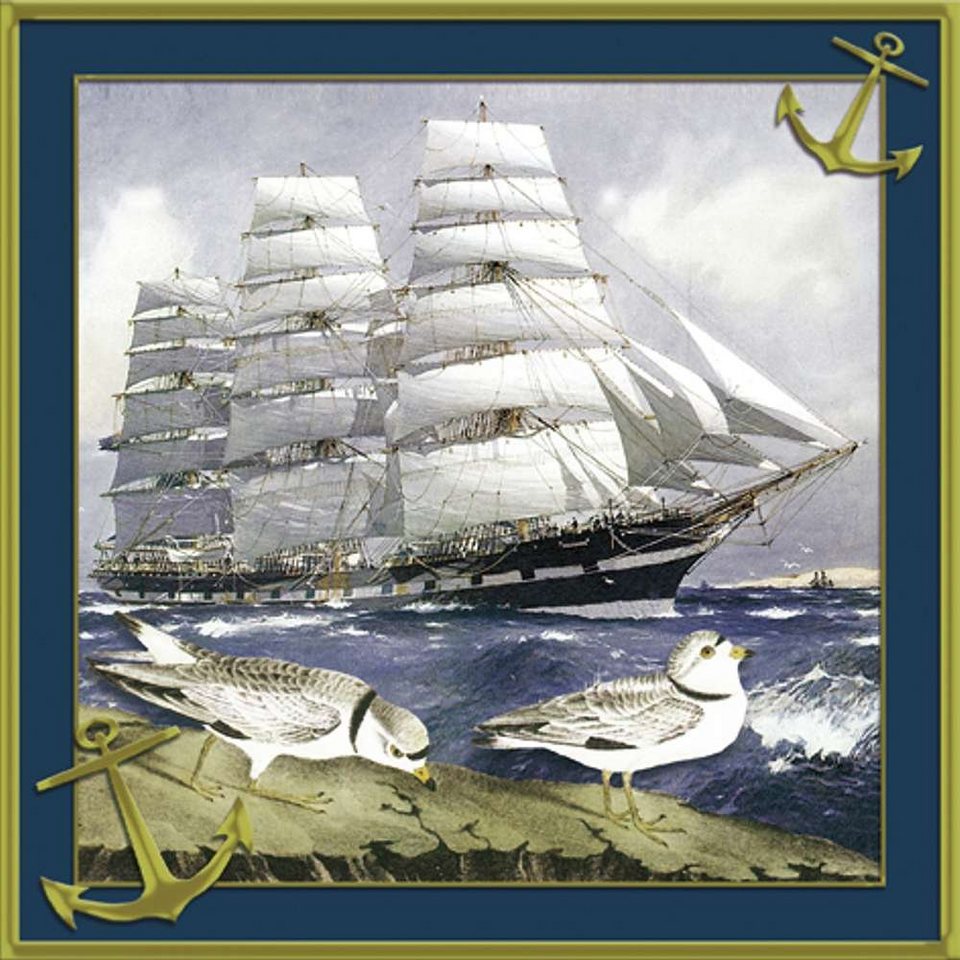 Linoows Papierserviette 20 Servietten Maritim Windjammer Stolzer