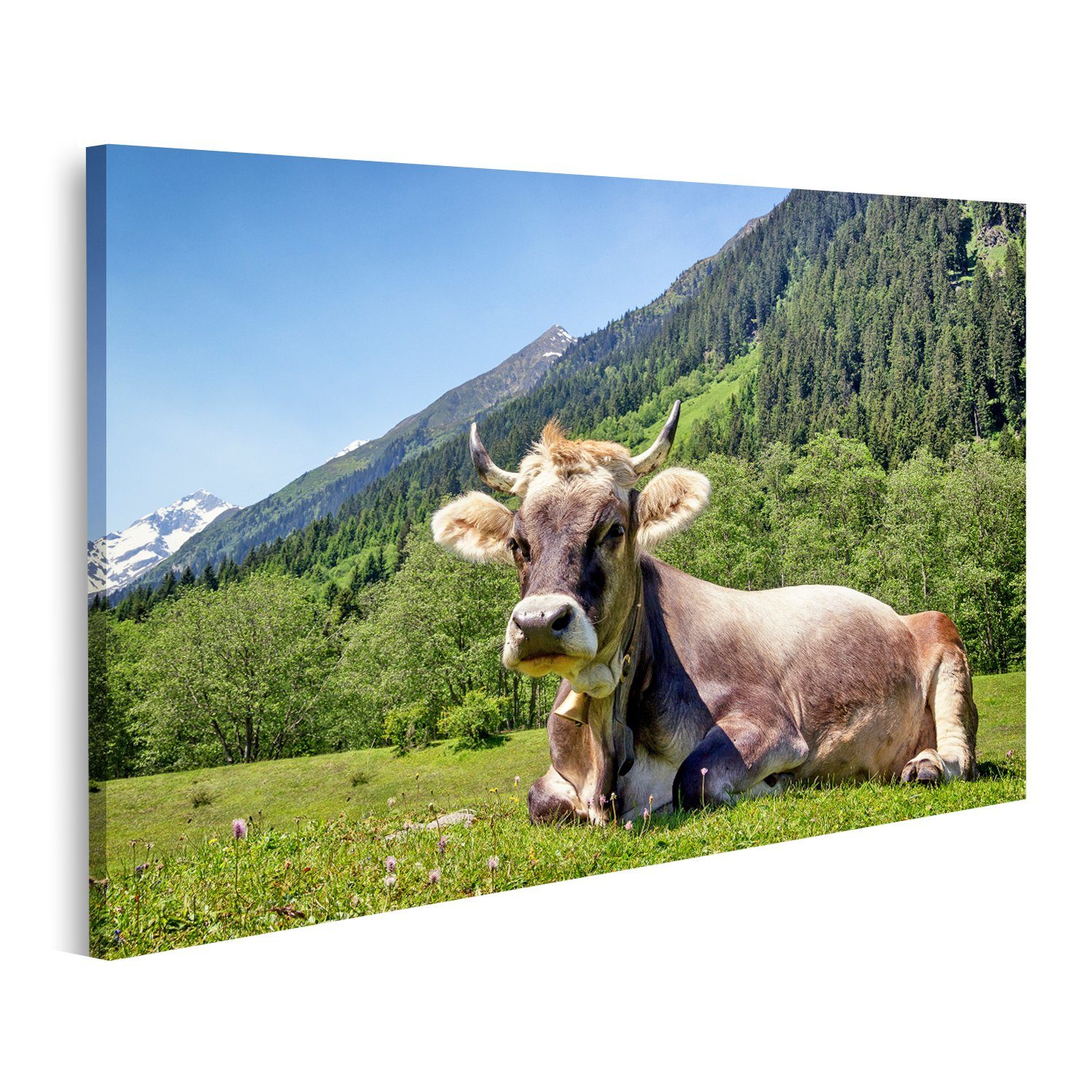 islandburner Leinwandbild Bild auf Leinwand Kuh An Der Alpen Wandbild Leinwandbild Wand Bilder