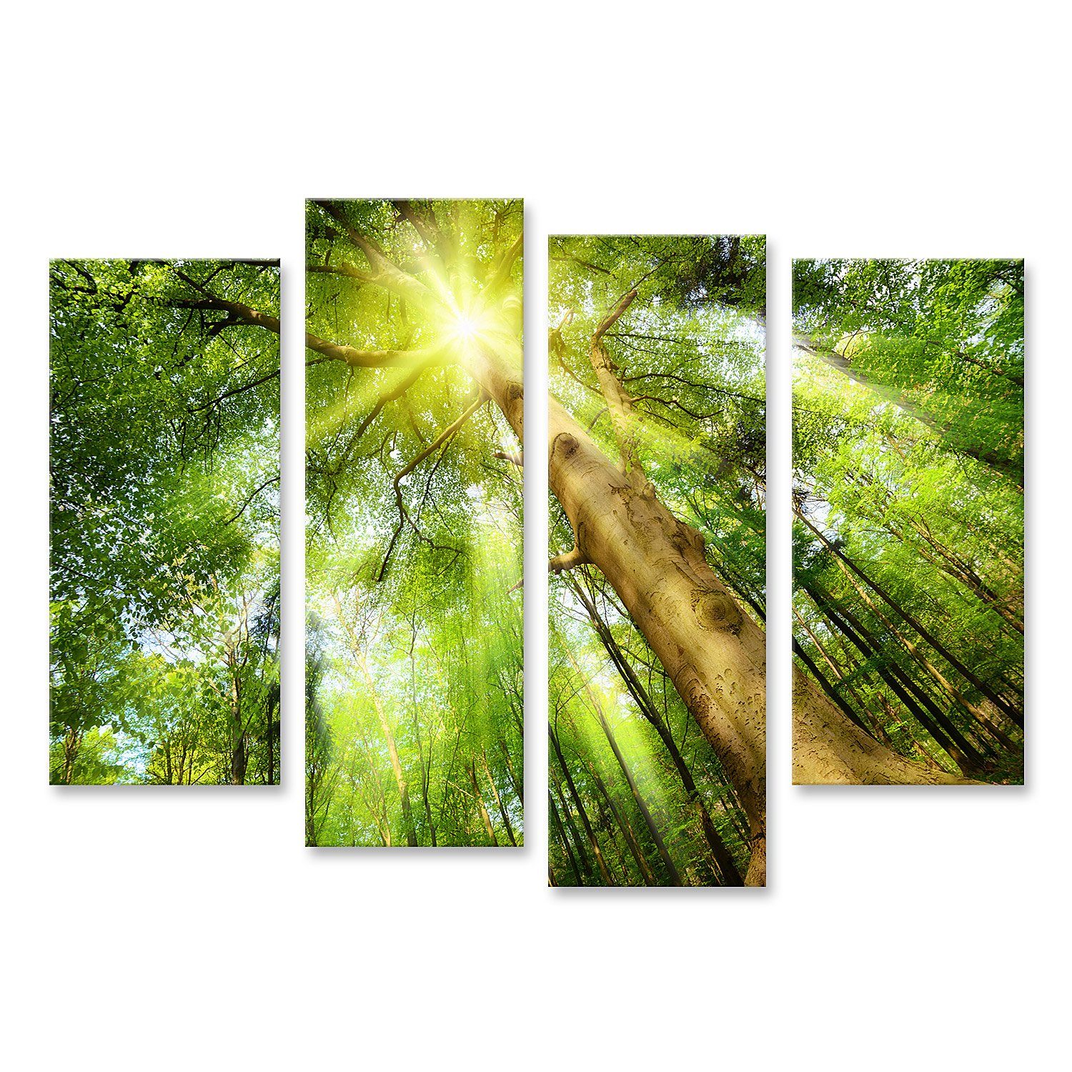 islandburner Leinwandbild »Bild auf Leinwand Magische Stimmung In Einem Wald Mit Sonnenstrahlen ...