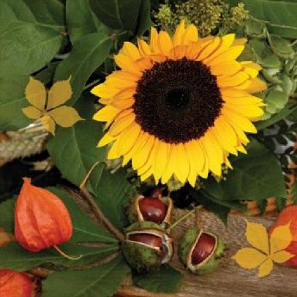Ti Flair Papierserviette 20 Servietten Castagne E Girasole 33x33cm 20 St
