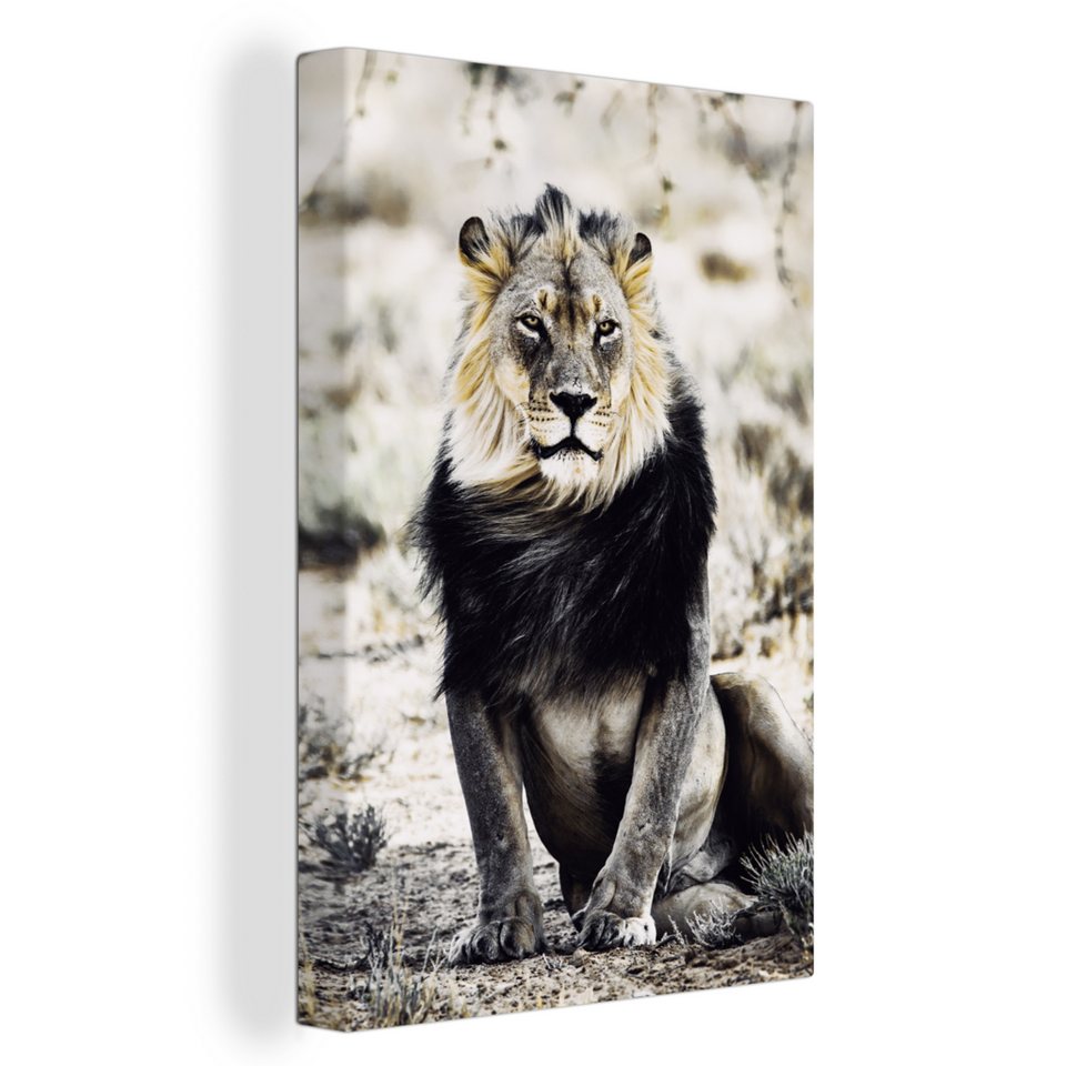 Onemillioncanvasses® Leinwandbild Löwen Porträt Farben 1 St