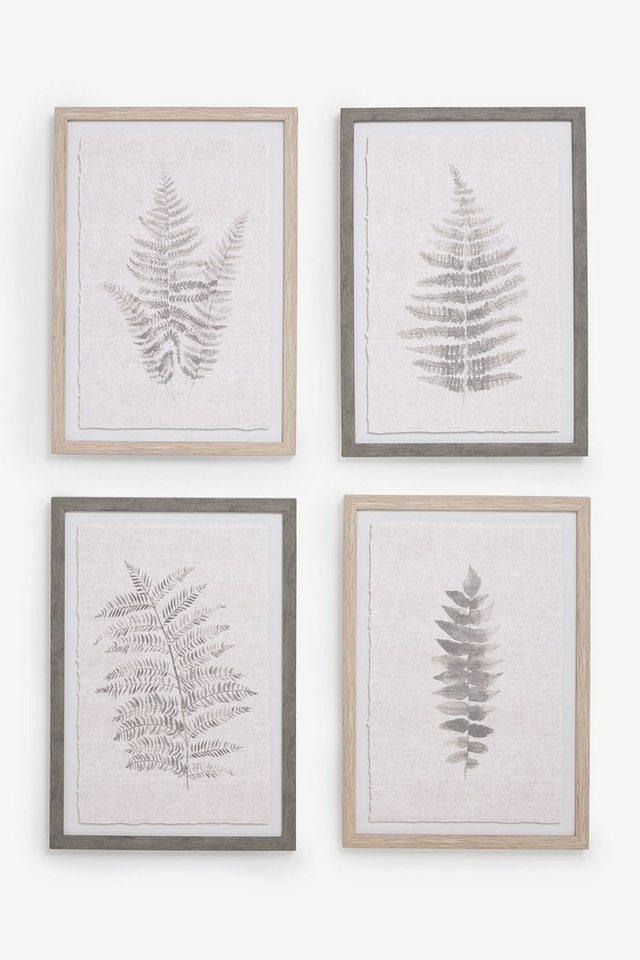 Next Wanddekoobjekt Set Of 4 Country Botanical Framed Art