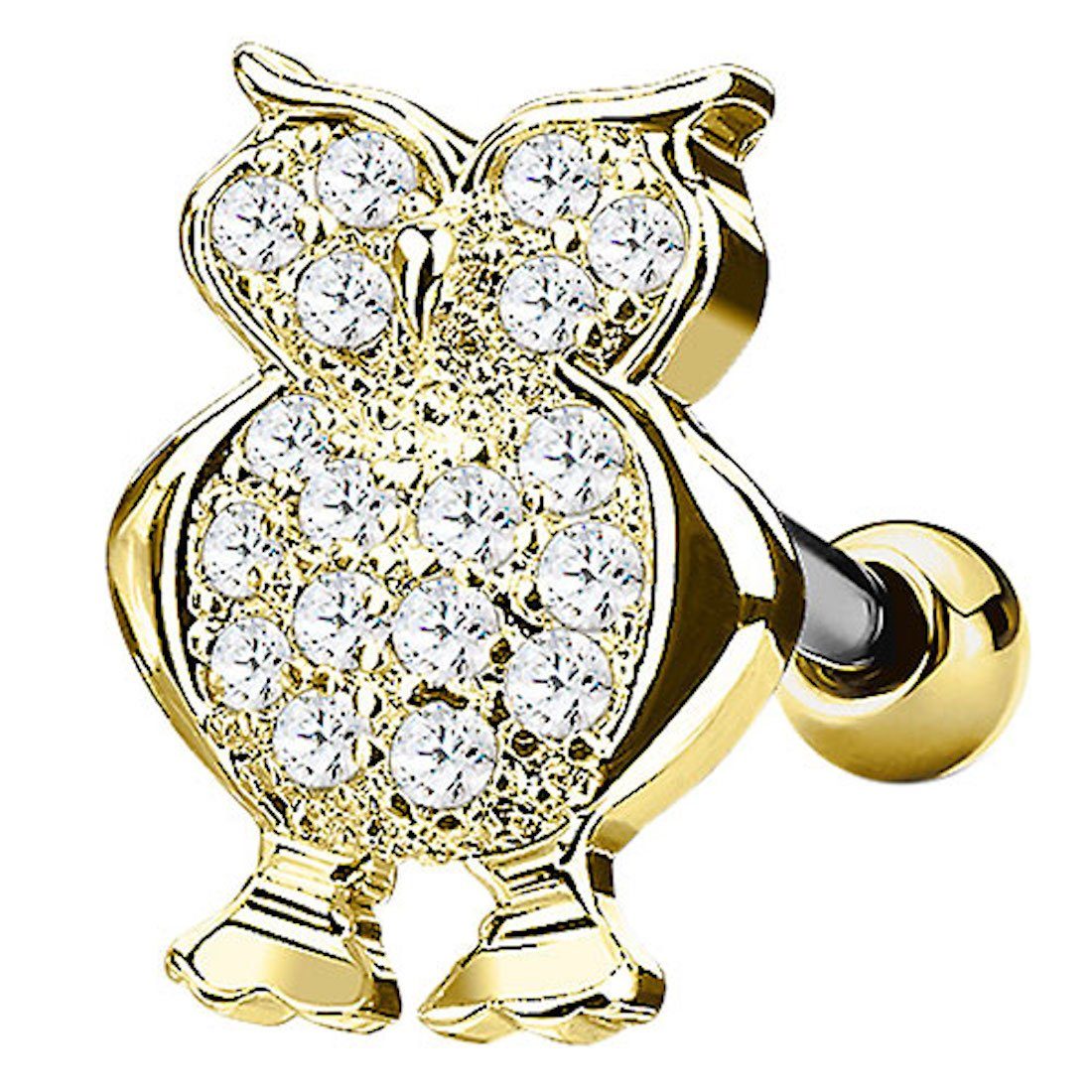 Taffstyle Piercing-Set Tragus Helix Ohr Cartilage Stecker Eule Kristall ...