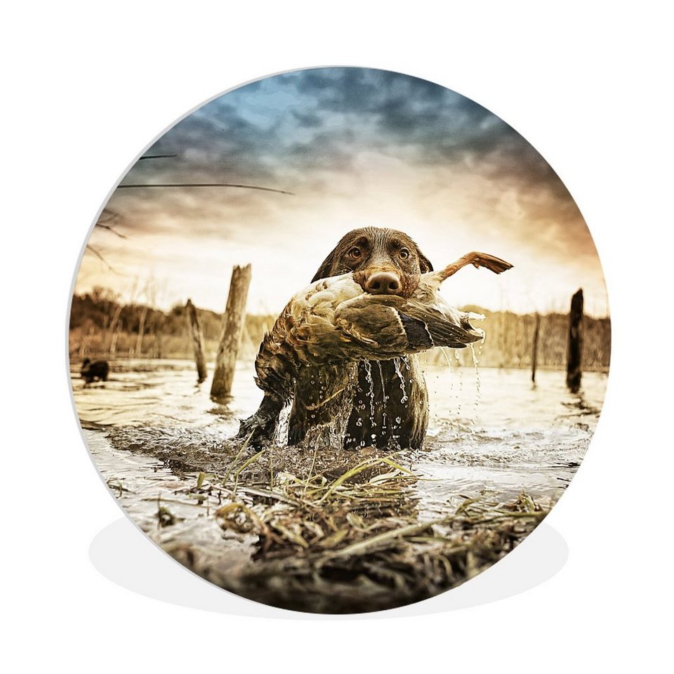 Muchowow Gemälde Ein Hund Vollendet Seine Jagd Mit Einer Ente Im Maul